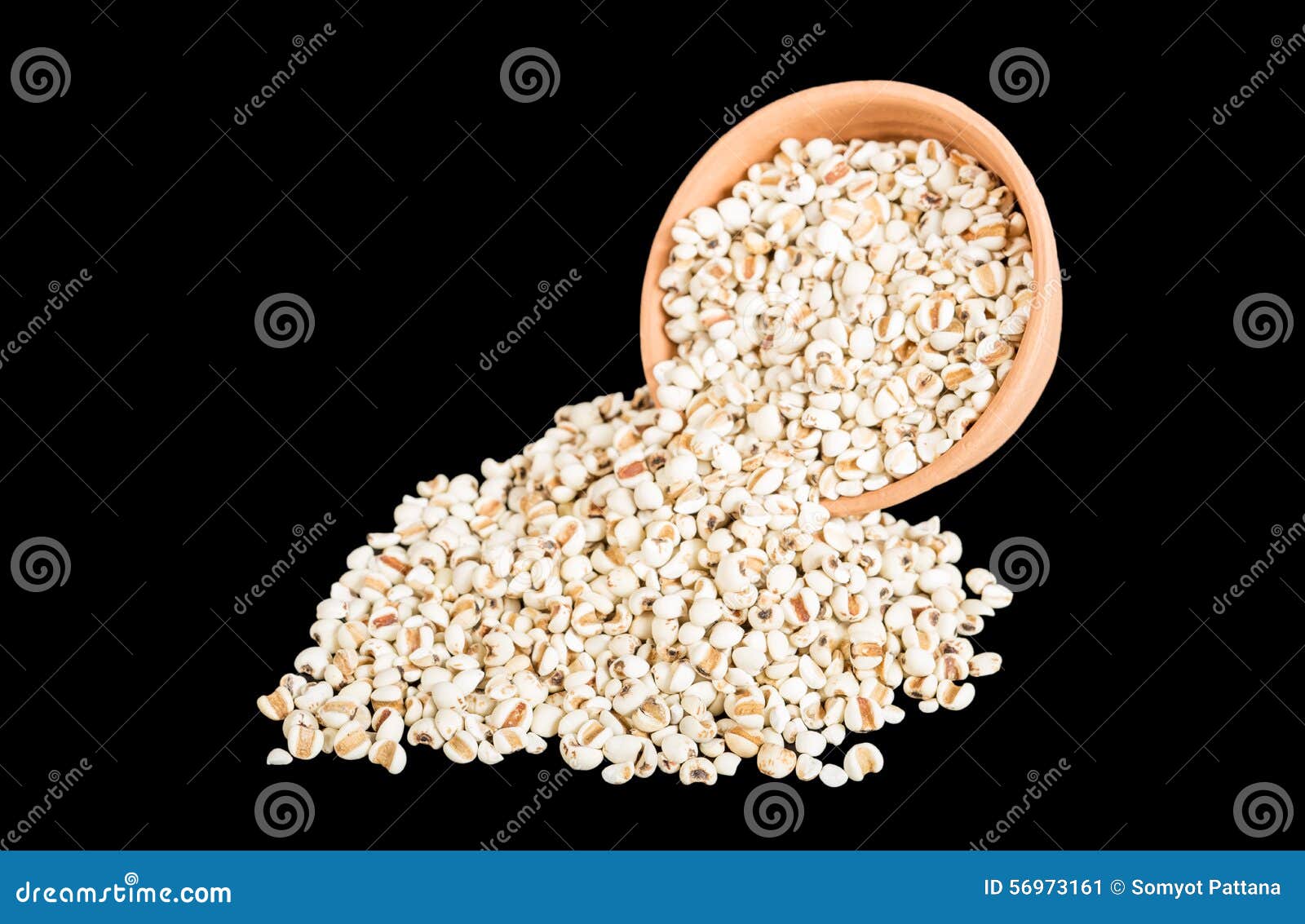 Job s tears seed stock image. Image of china, minerals - 56973161