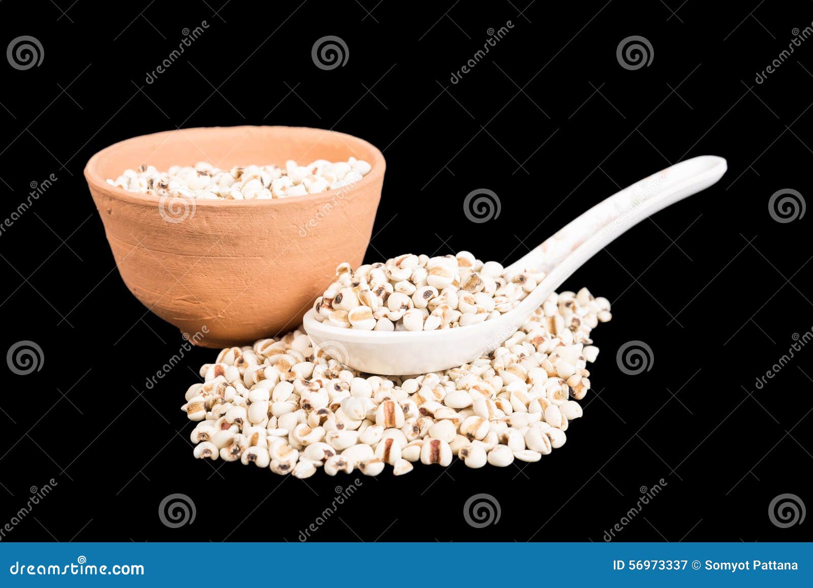 Job s tears seed stock image. Image of health, vitamins - 56973337