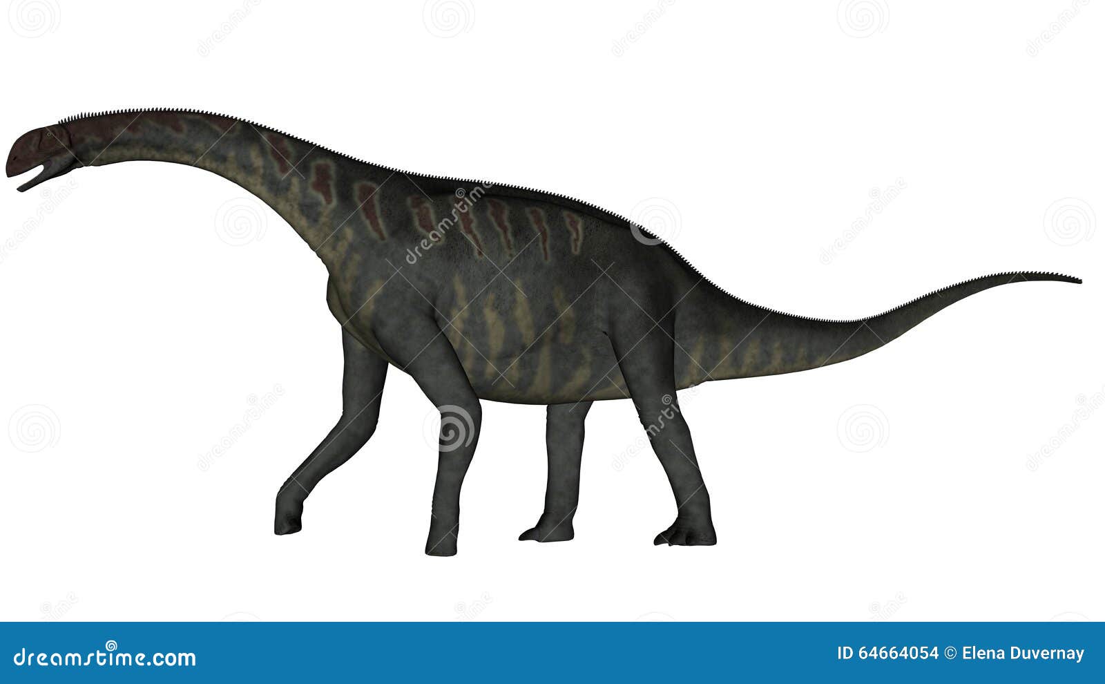 Jobaria Dinosaur Walking - 3D Render Stock Illustration - Illustration ...
