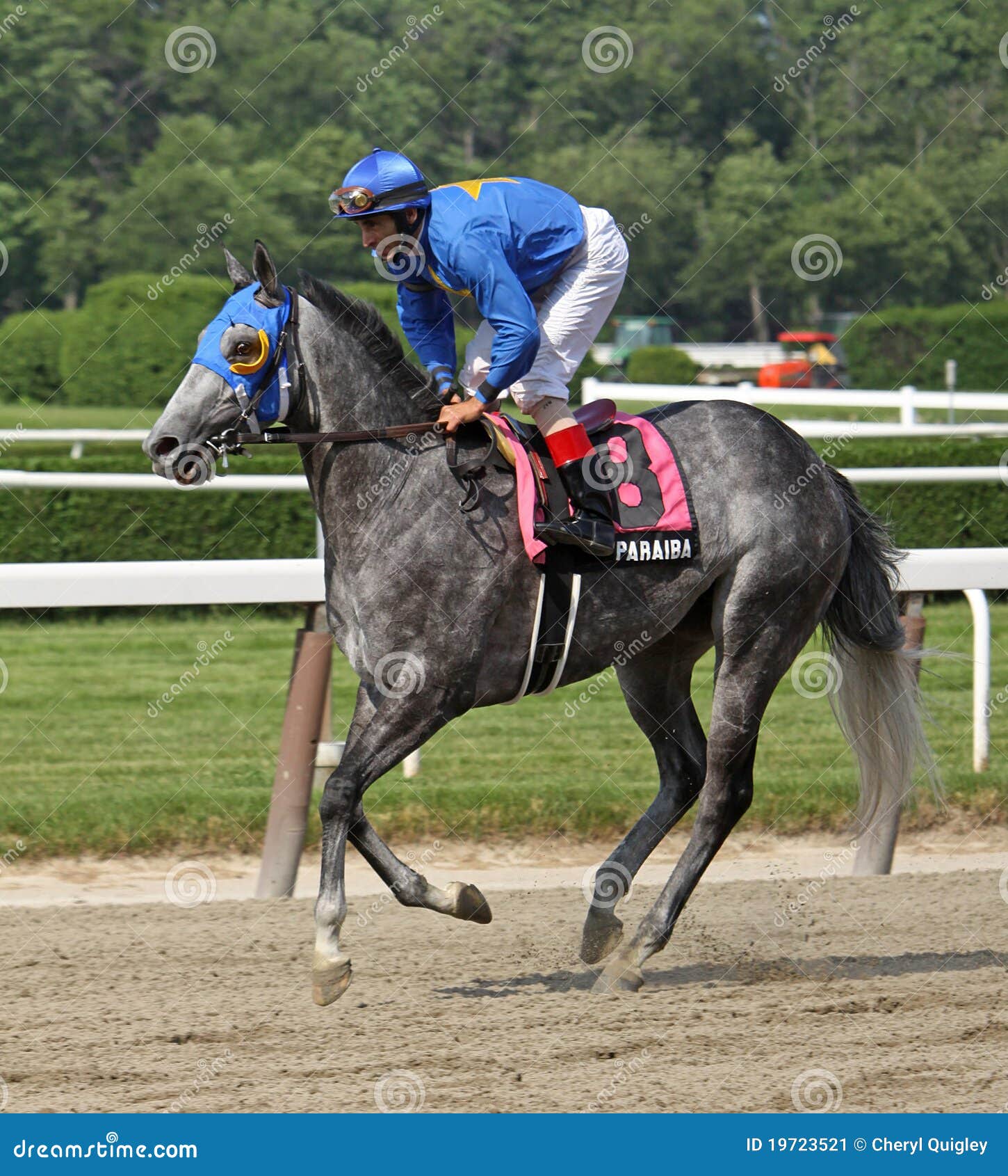 Jockey John Velazquez and Paraiba Editorial Photo - Image of horse ...