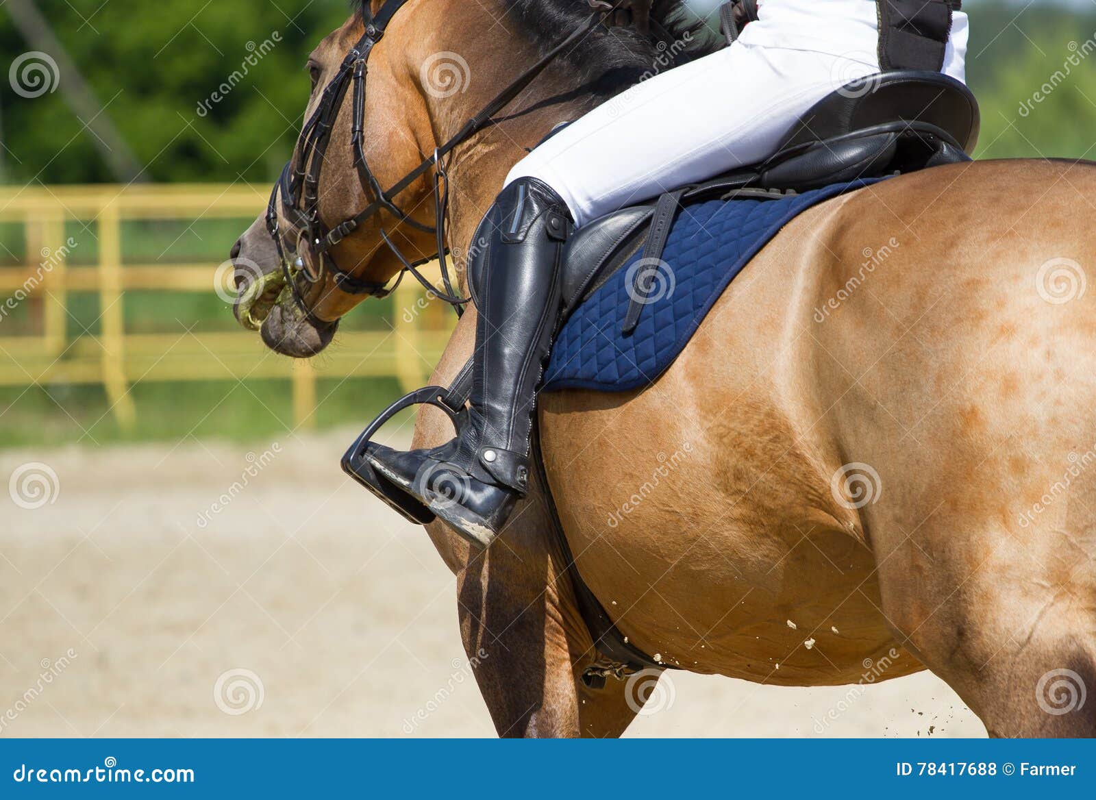 Jockey riding boot stock photo. Image of horseback, mare - 78417688