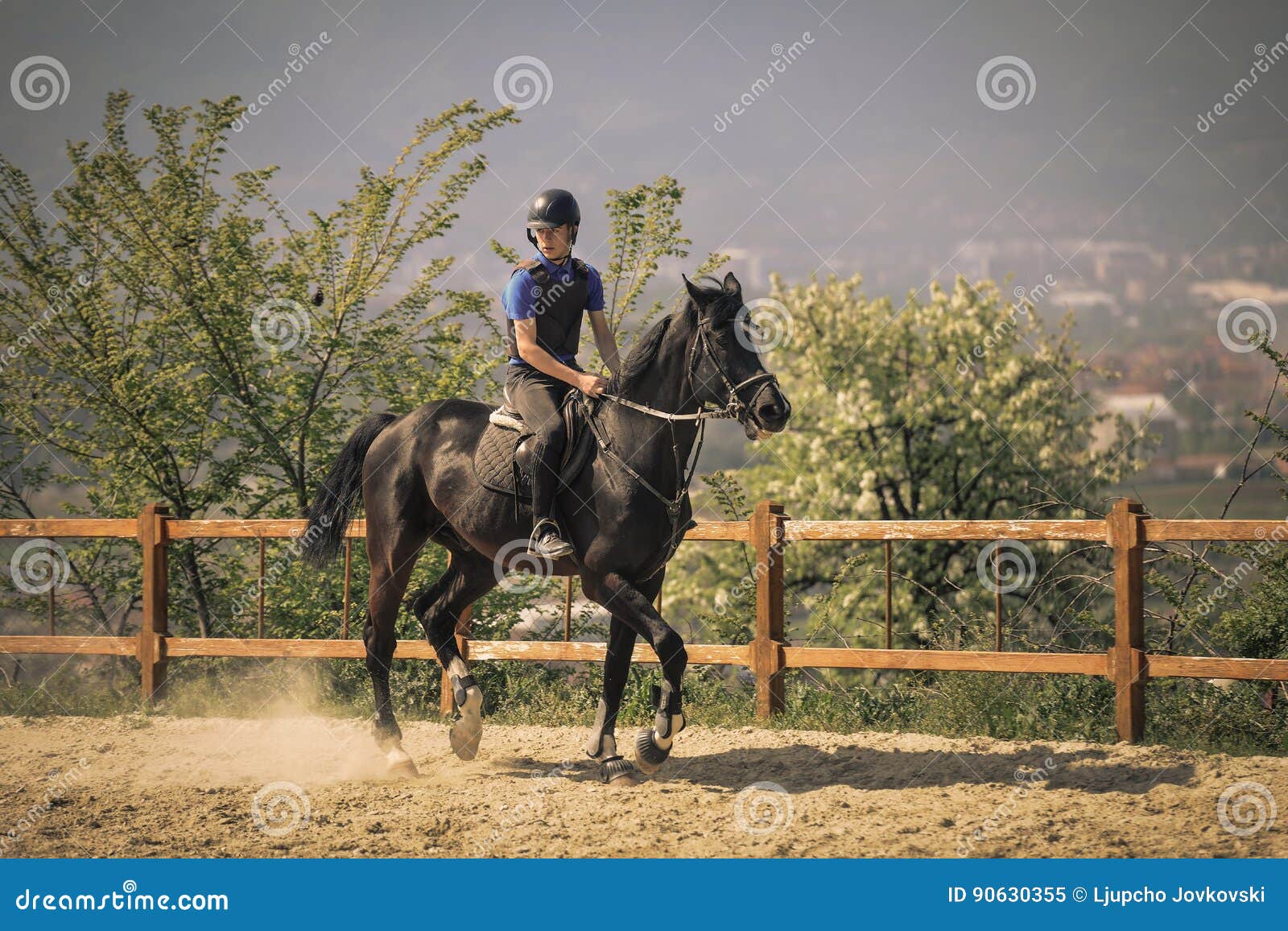 Jockey Riding a Fast Thoroughbred Horse Stock Image - Image of ...
