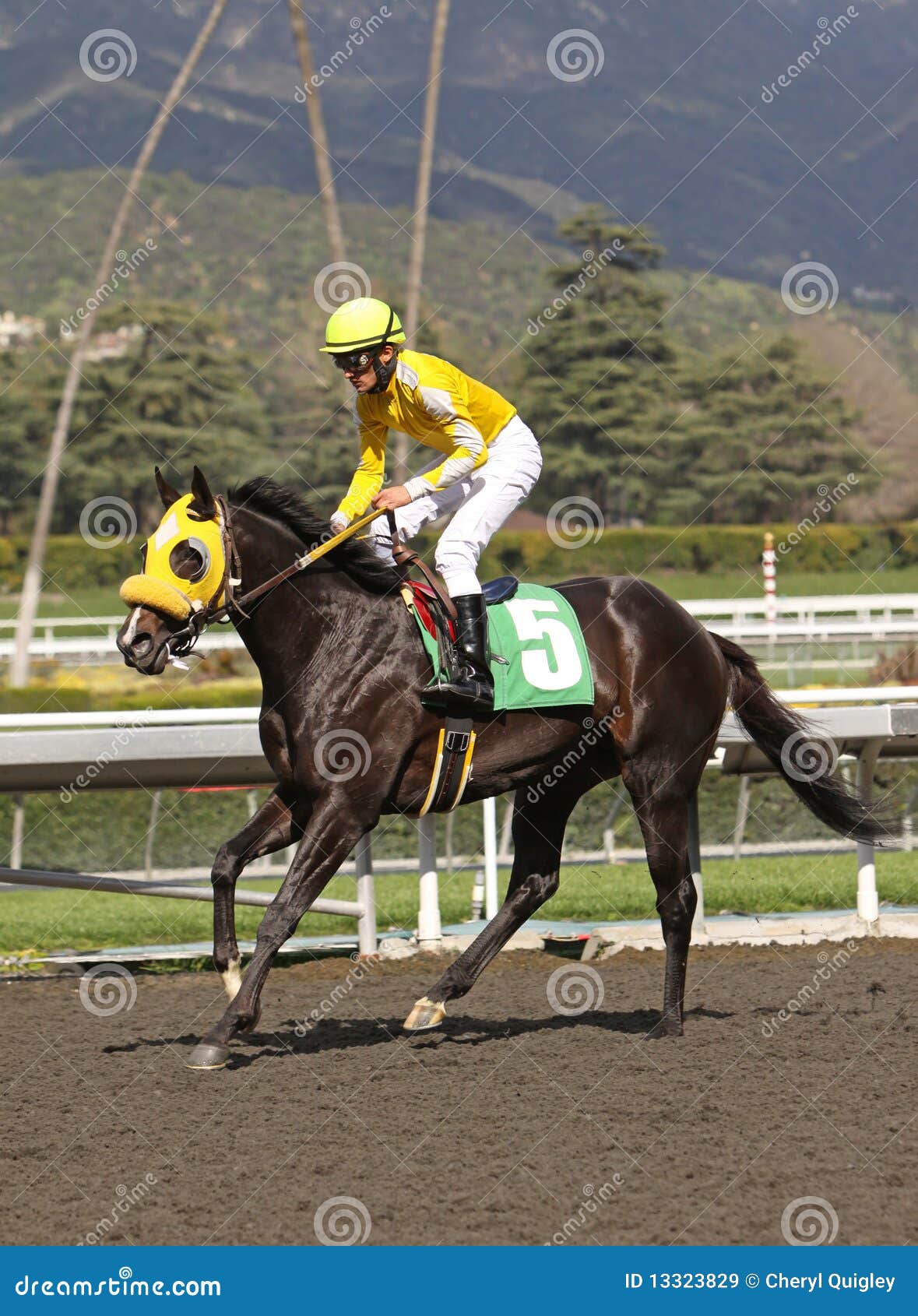 Jockey and Thoroughbred Race Horse Editorial Stock Image - Image of ...
