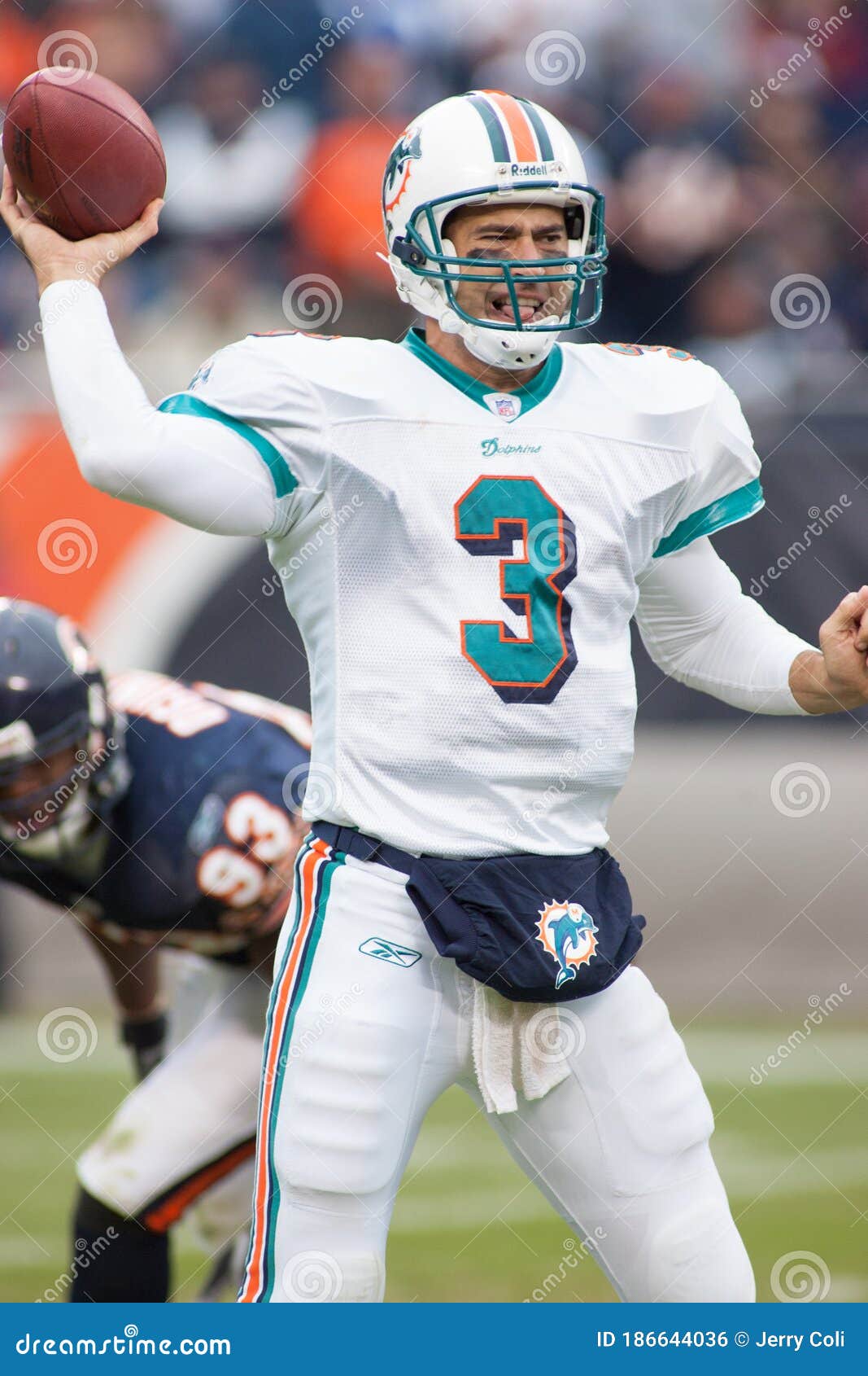 Joey harrington foto editorial. Imagen de delfines, osos - 186644036