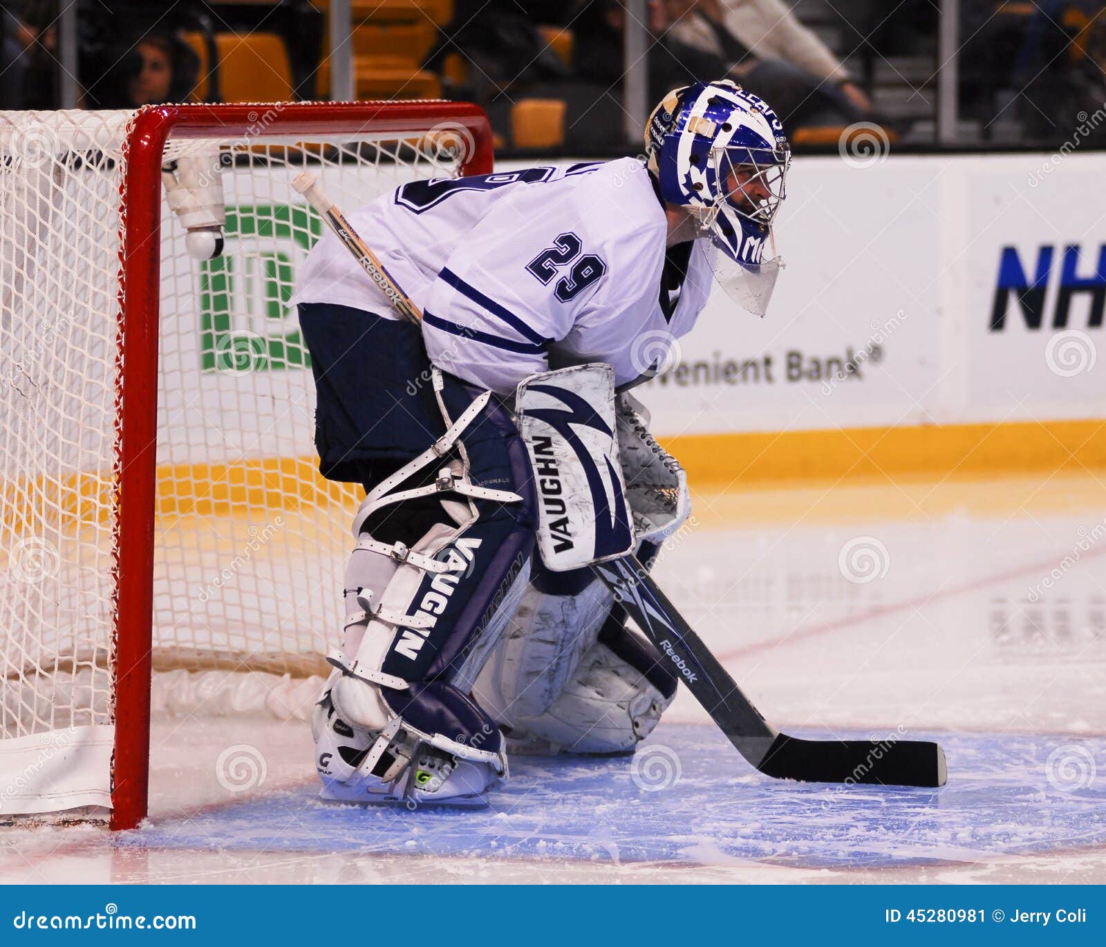 Joey MacDonald, Toronto Maple Leafs Goalie. Editorial Photo - Image ...
