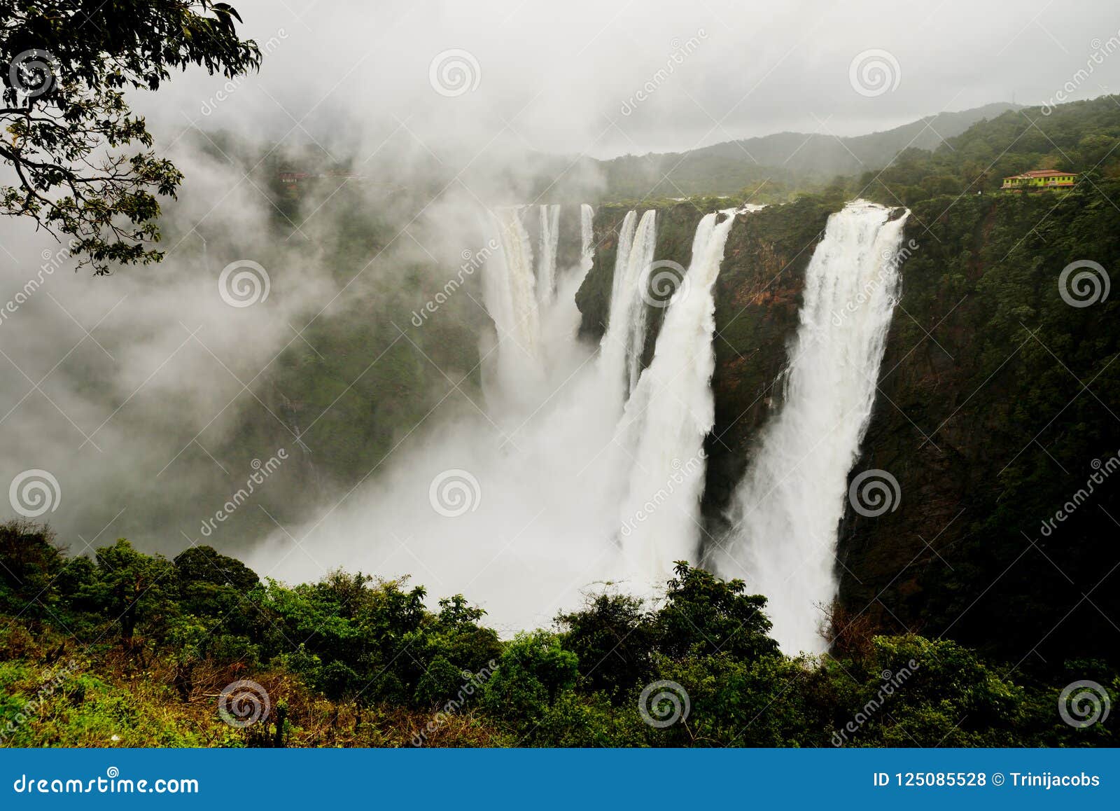 Jog Falls, Gerosoppa Falls or Joga Falls at Sharavathi River in ...
