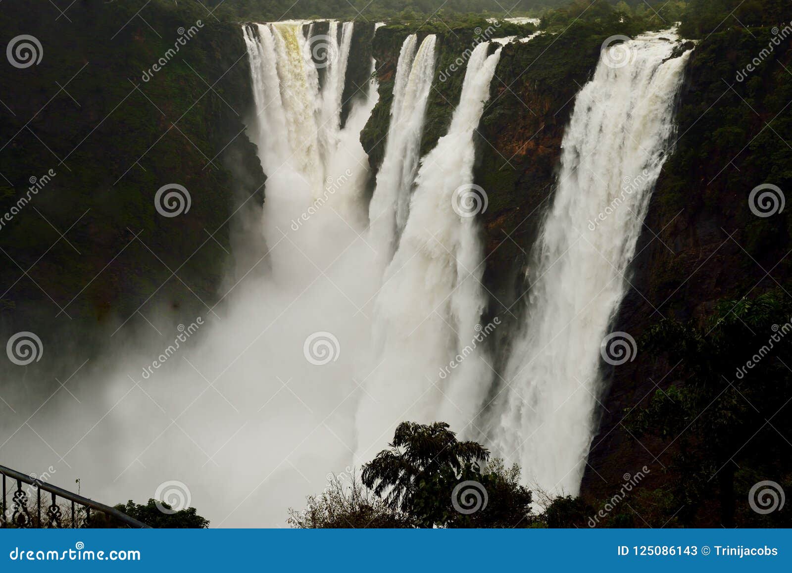 Jog Falls, Gerosoppa Falls or Joga Falls at Sharavathi River in ...