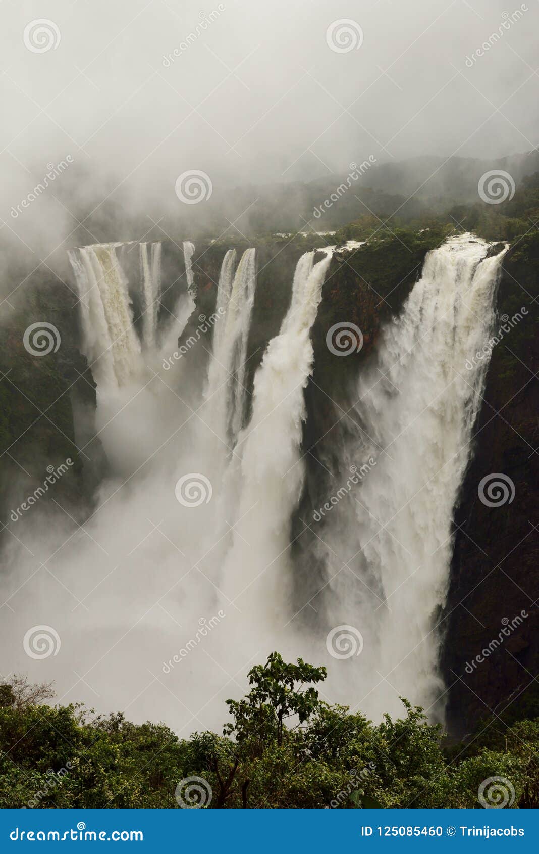 Jog Falls, Gerosoppa Falls or Joga Falls at Sharavathi River in ...