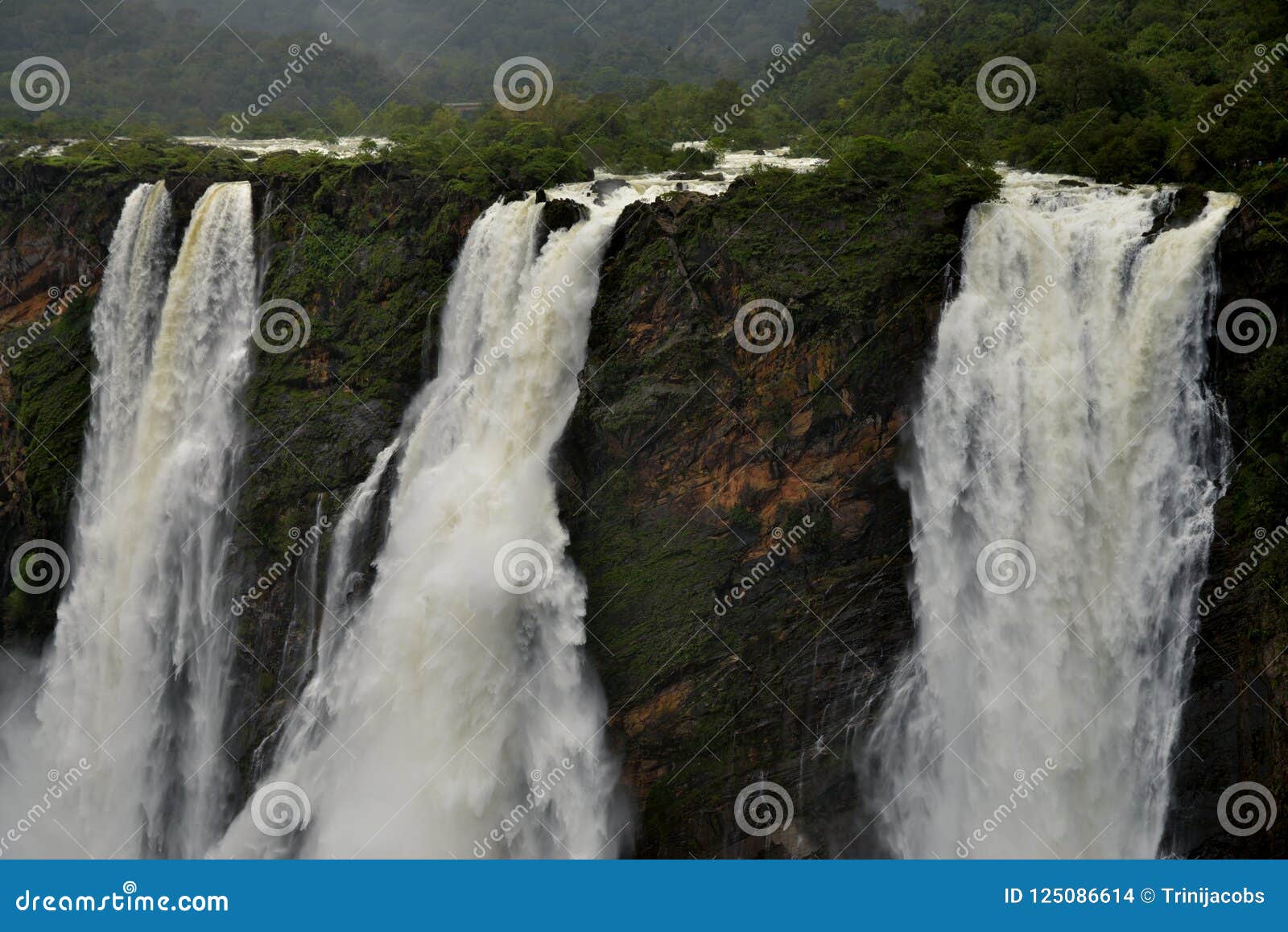 Jog Falls, Gerosoppa Falls or Joga Falls at Sharavathi River in ...
