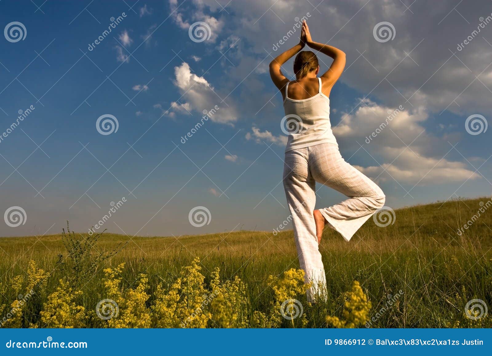 Joga stock photo. Image of fitness, exercise, girl, nature - 9866912