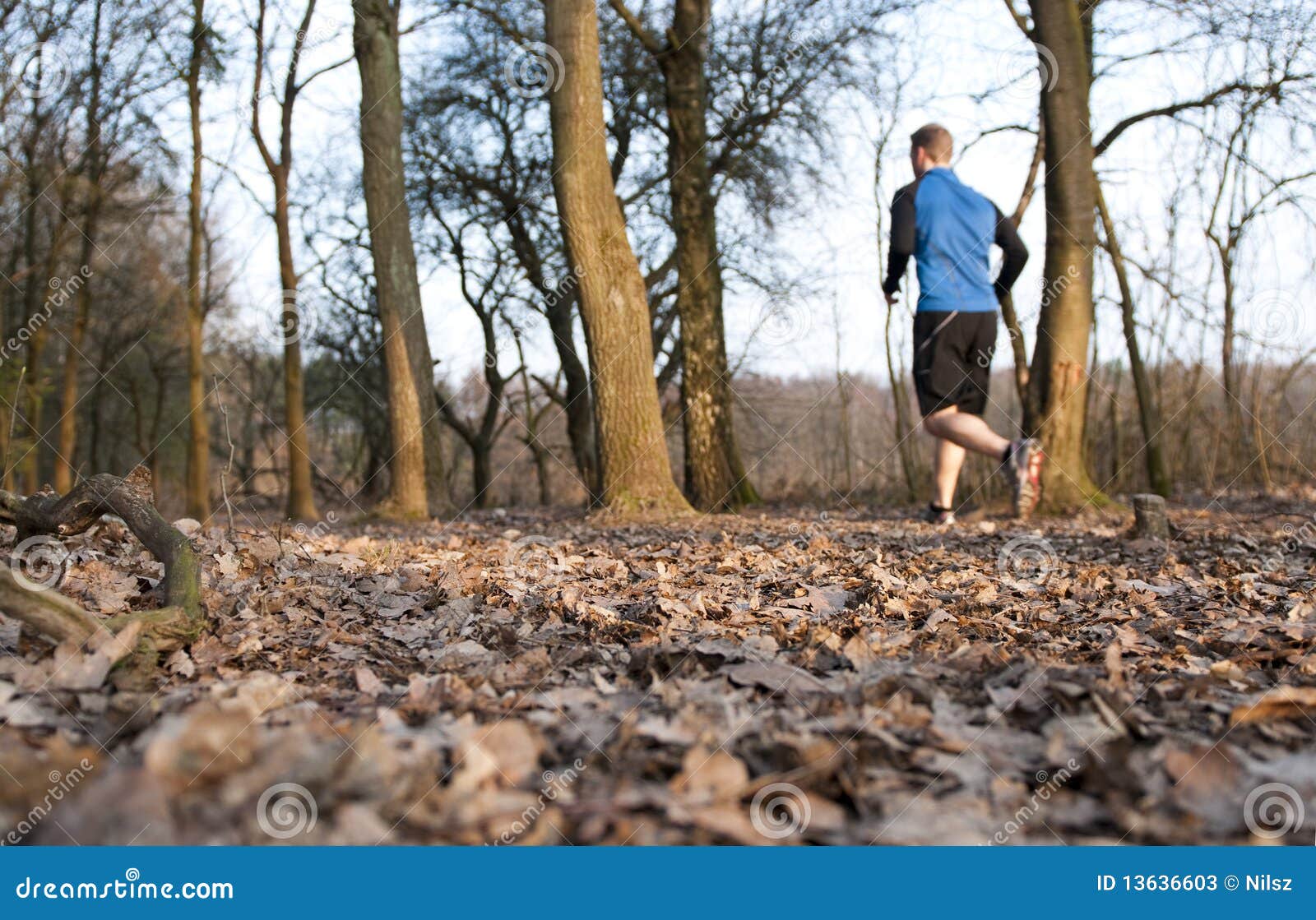 Jogger Running in the Forest Stock Image - Image of wood, energy: 13636603