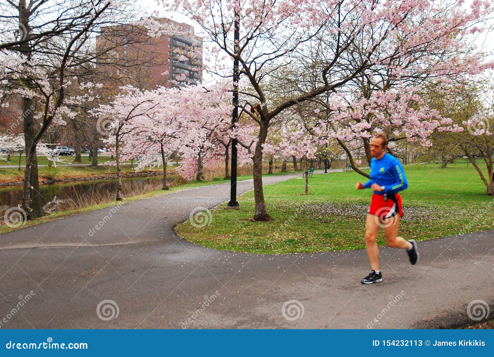 A Jogger Runs on a Spring Day Editorial Stock Photo - Image of bloom ...