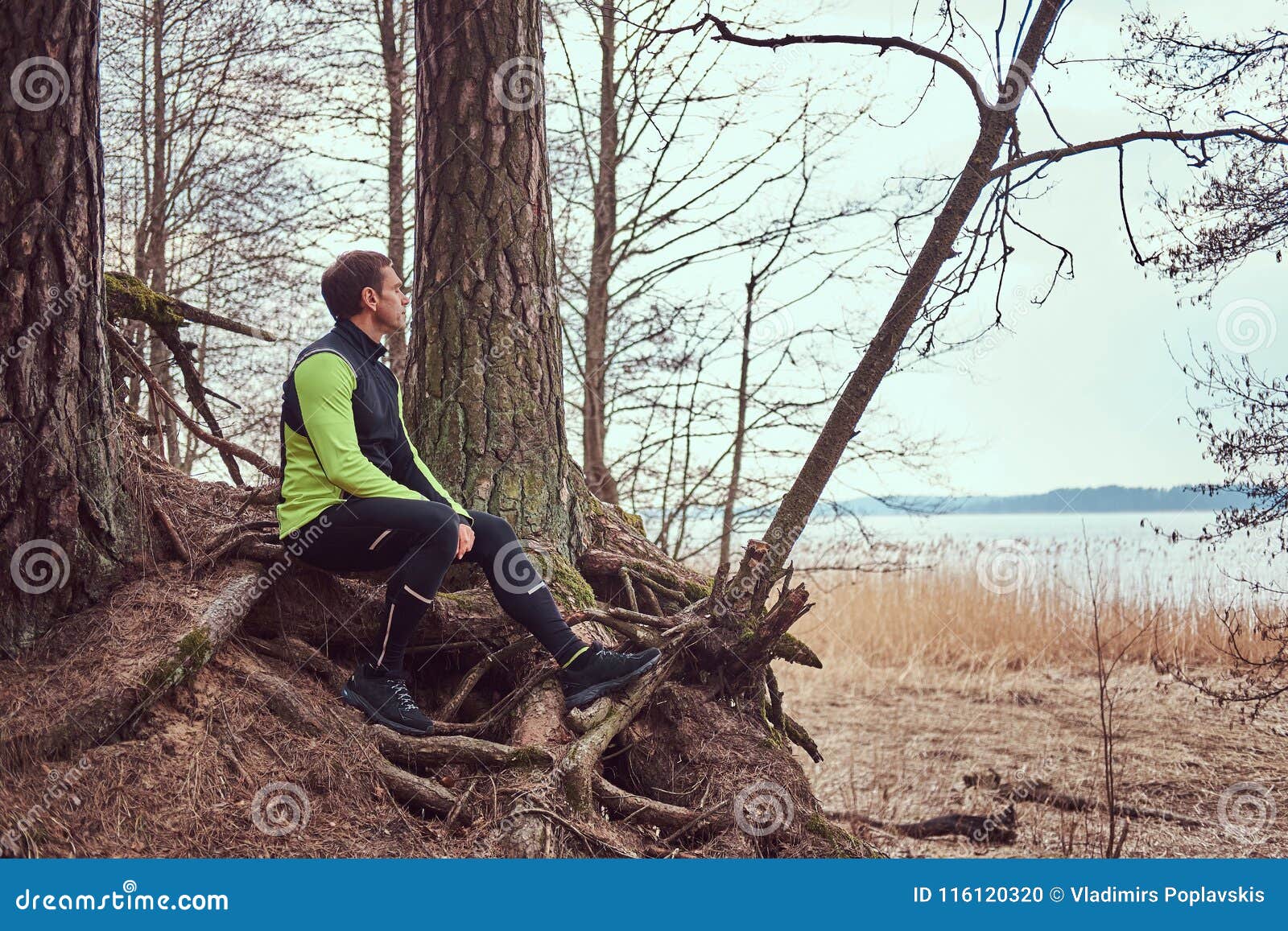 Jogger Sits Under a Tree in the Forest and Looks Away, Resting after a ...