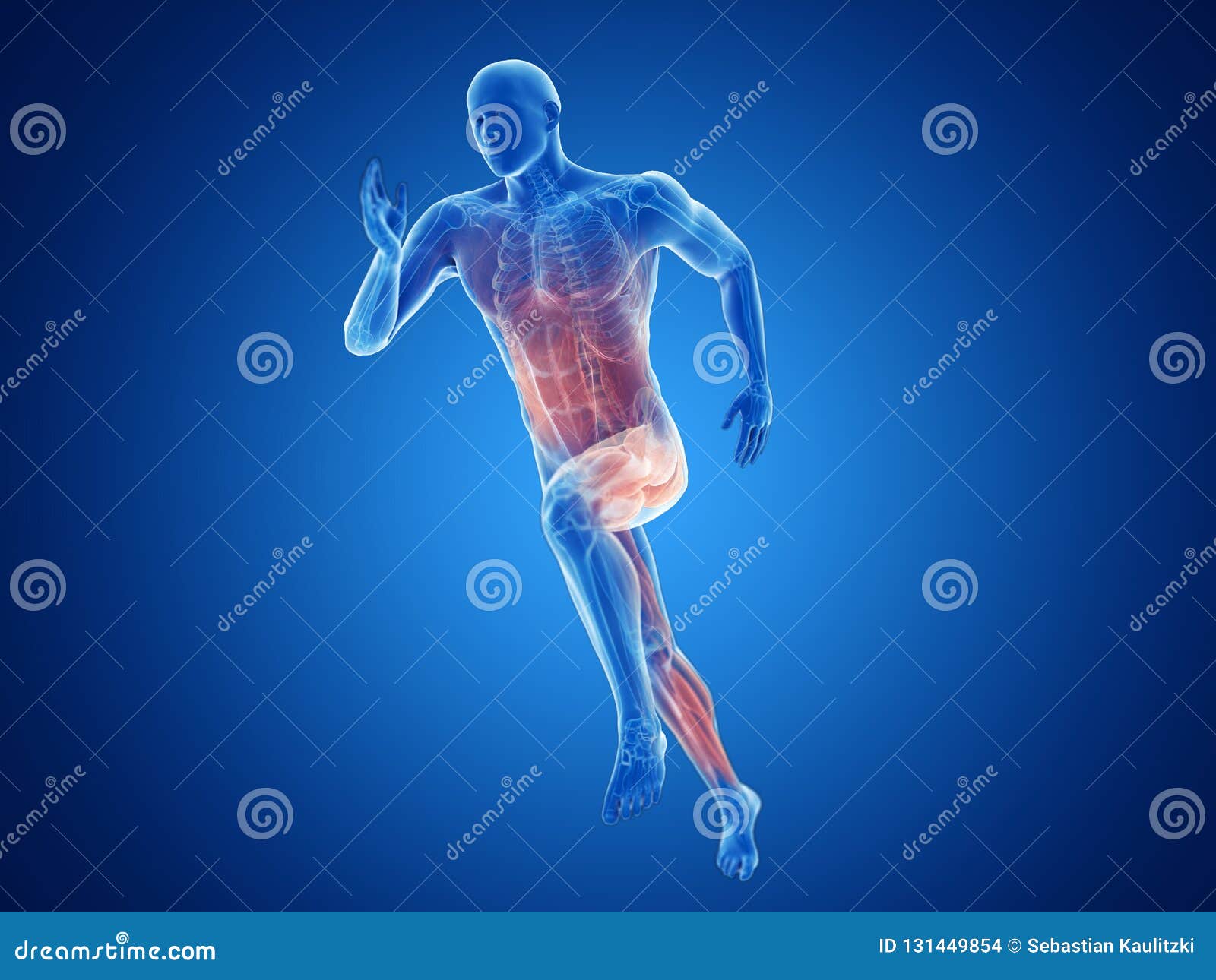 A joggers muscles stock illustration. Illustration of sport - 131449854