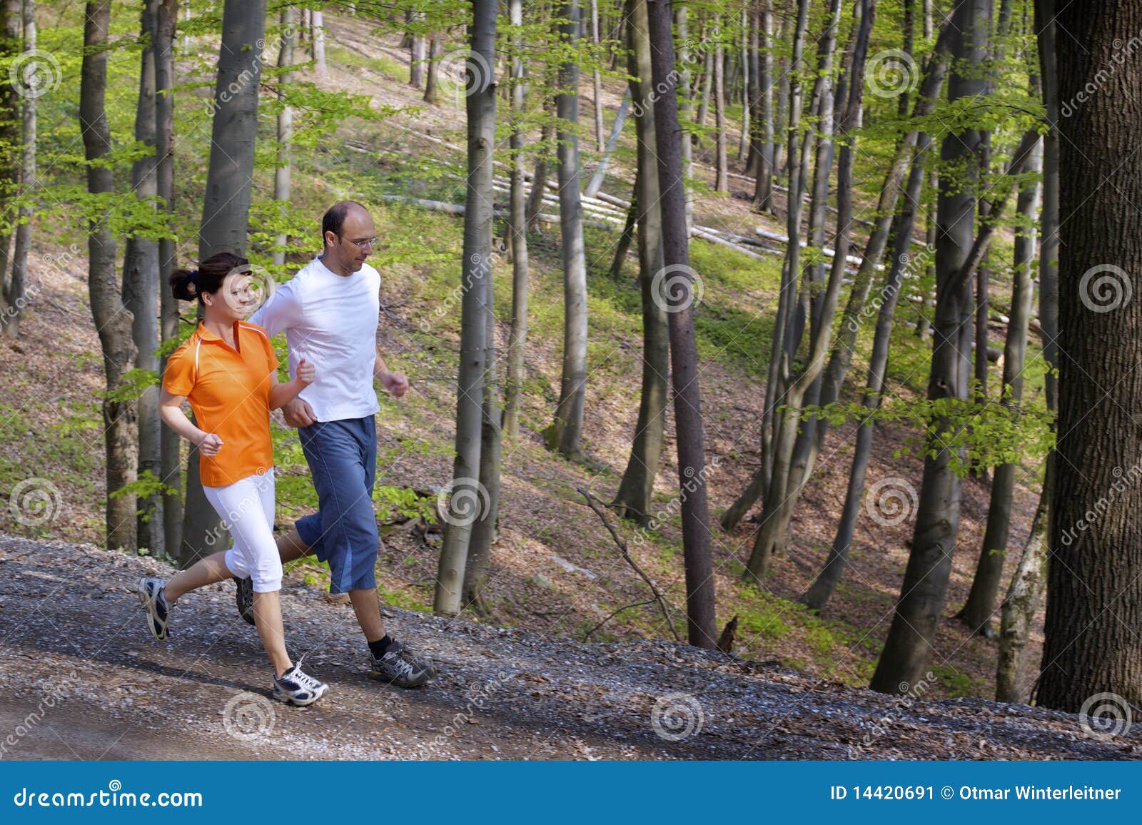 Jogging couple in forest stock image. Image of green - 14420691