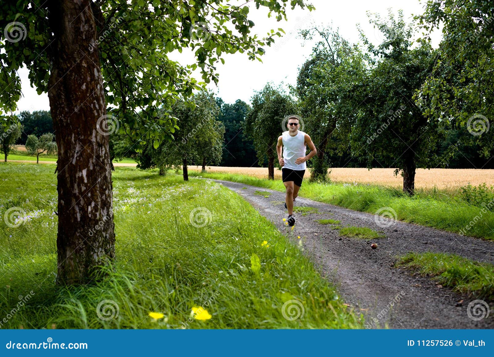 Jogging through the fields stock photo. Image of jogging - 11257526