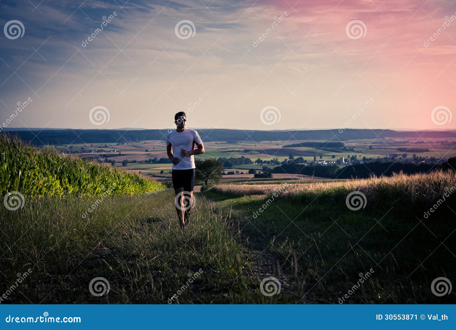 Jogging through the fields stock image. Image of lifestyles - 30553871