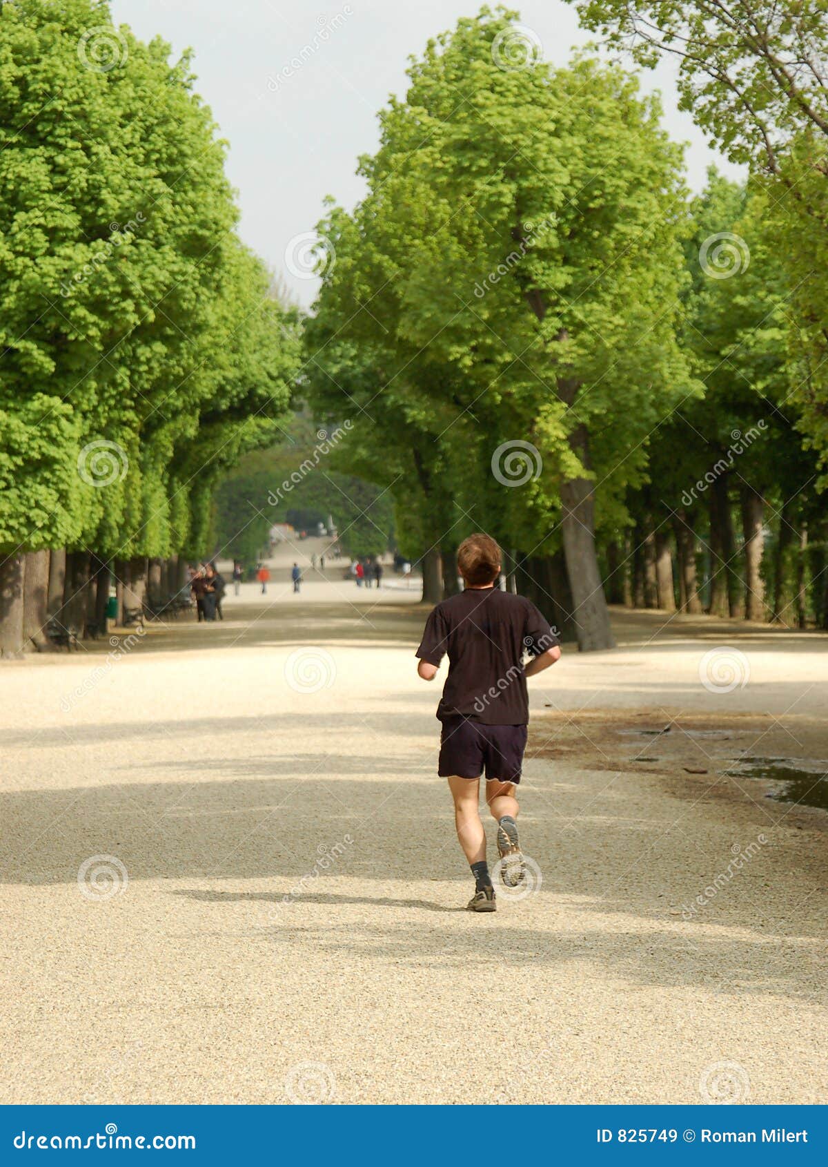Jogging in the park stock image. Image of health, park - 825749