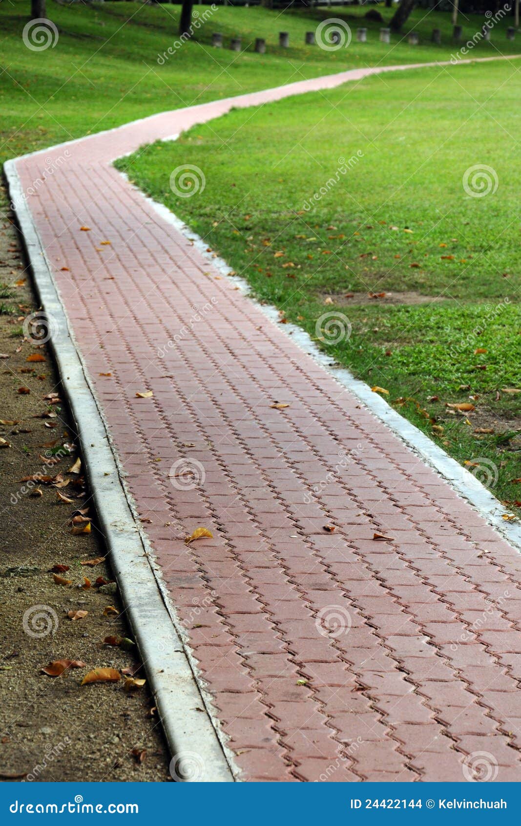 Jogging Path stock photo. Image of road, garden, pavement - 24422144