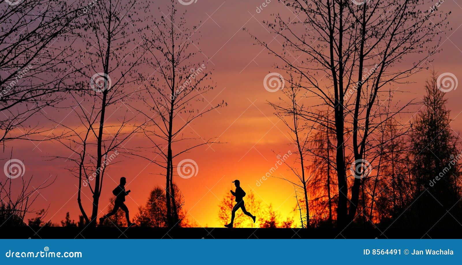 Jogging at Sunset stock image. Image of park, adult, recreation - 8564491