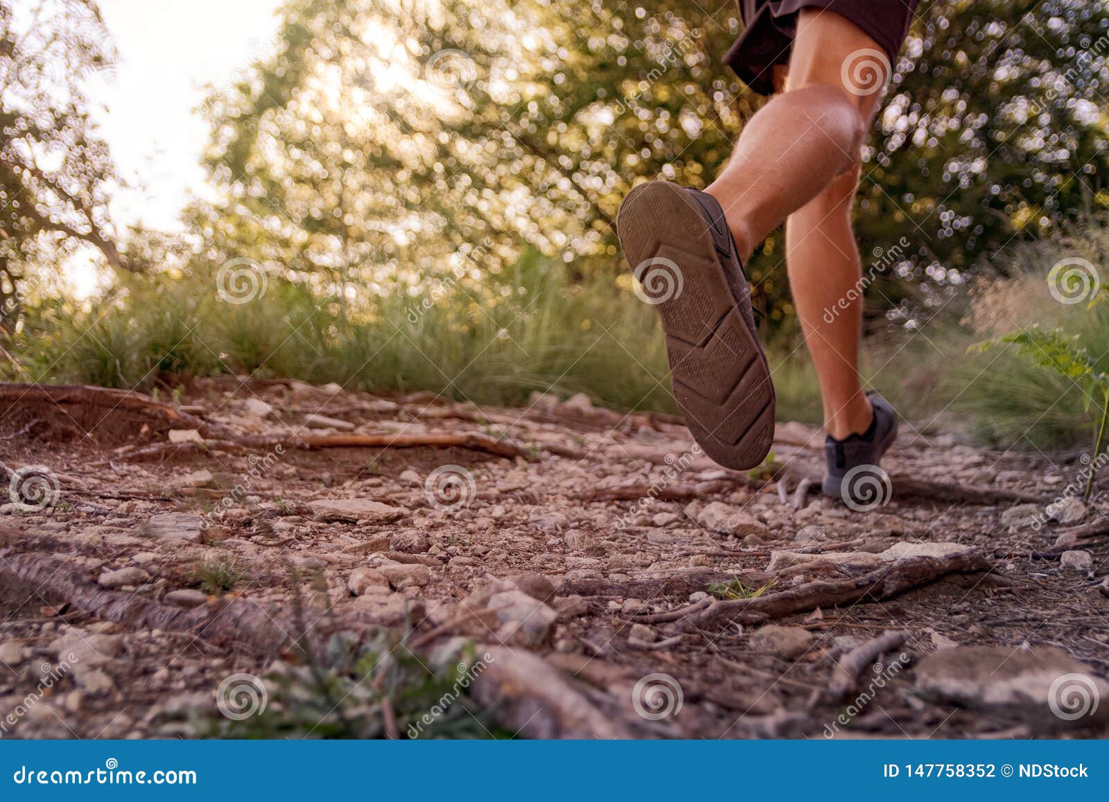 Man Legs Running on Trail in the Mountains Stock Photo - Image of ...