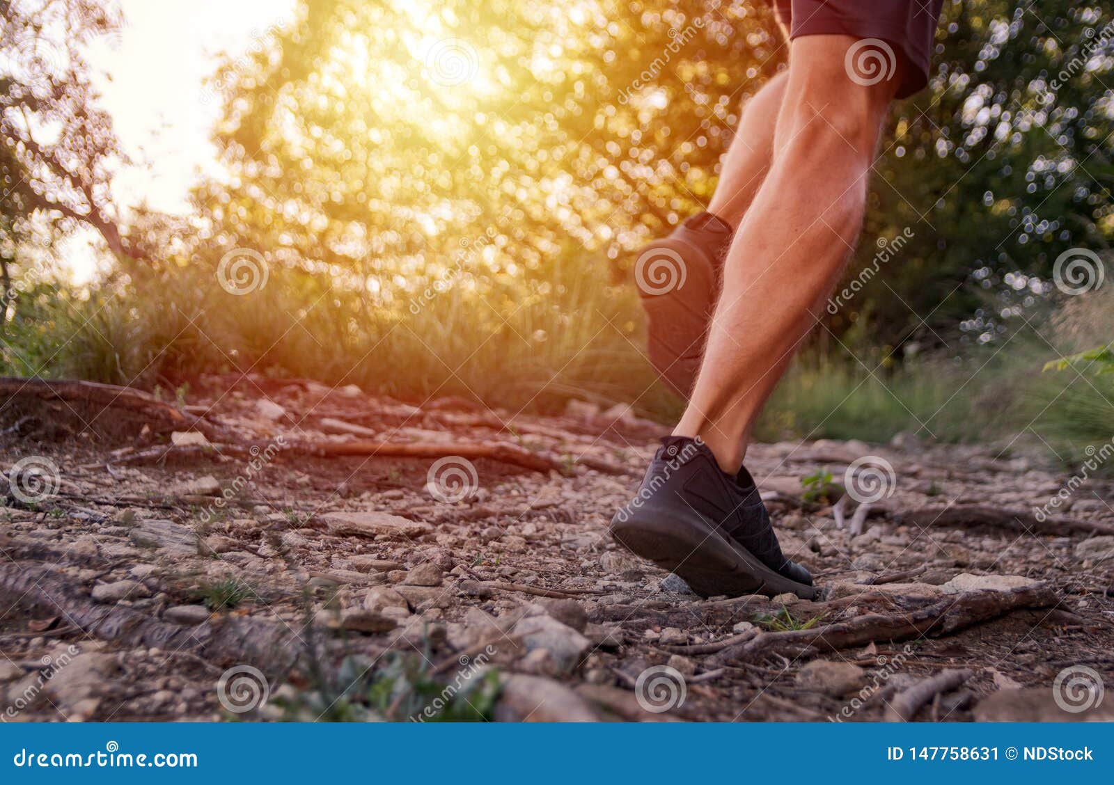 Man Legs Running on Trail in the Mountains Stock Image - Image of ...