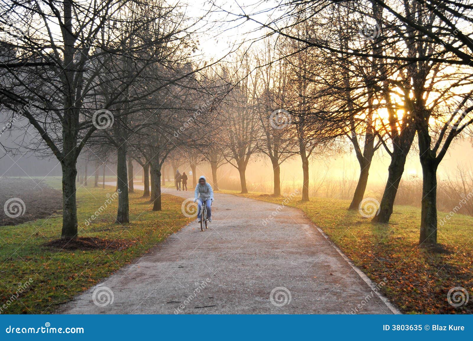 Jogging track stock image. Image of runner, lifestyle - 3803635