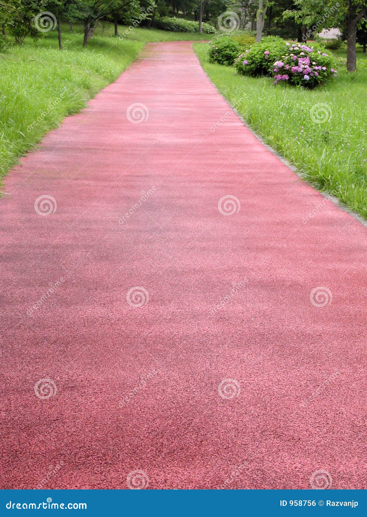 Jogging track stock photo. Image of park, leisure, sport - 958756