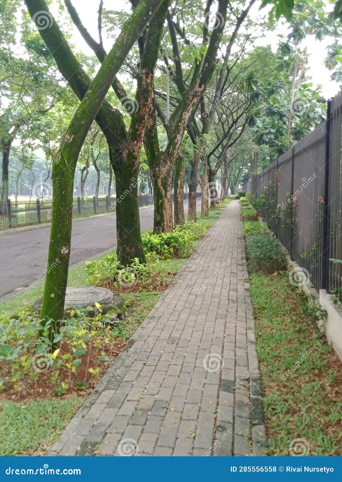 Jogging Track Around Trees in the Neighbourhood Stock Photo - Image of ...