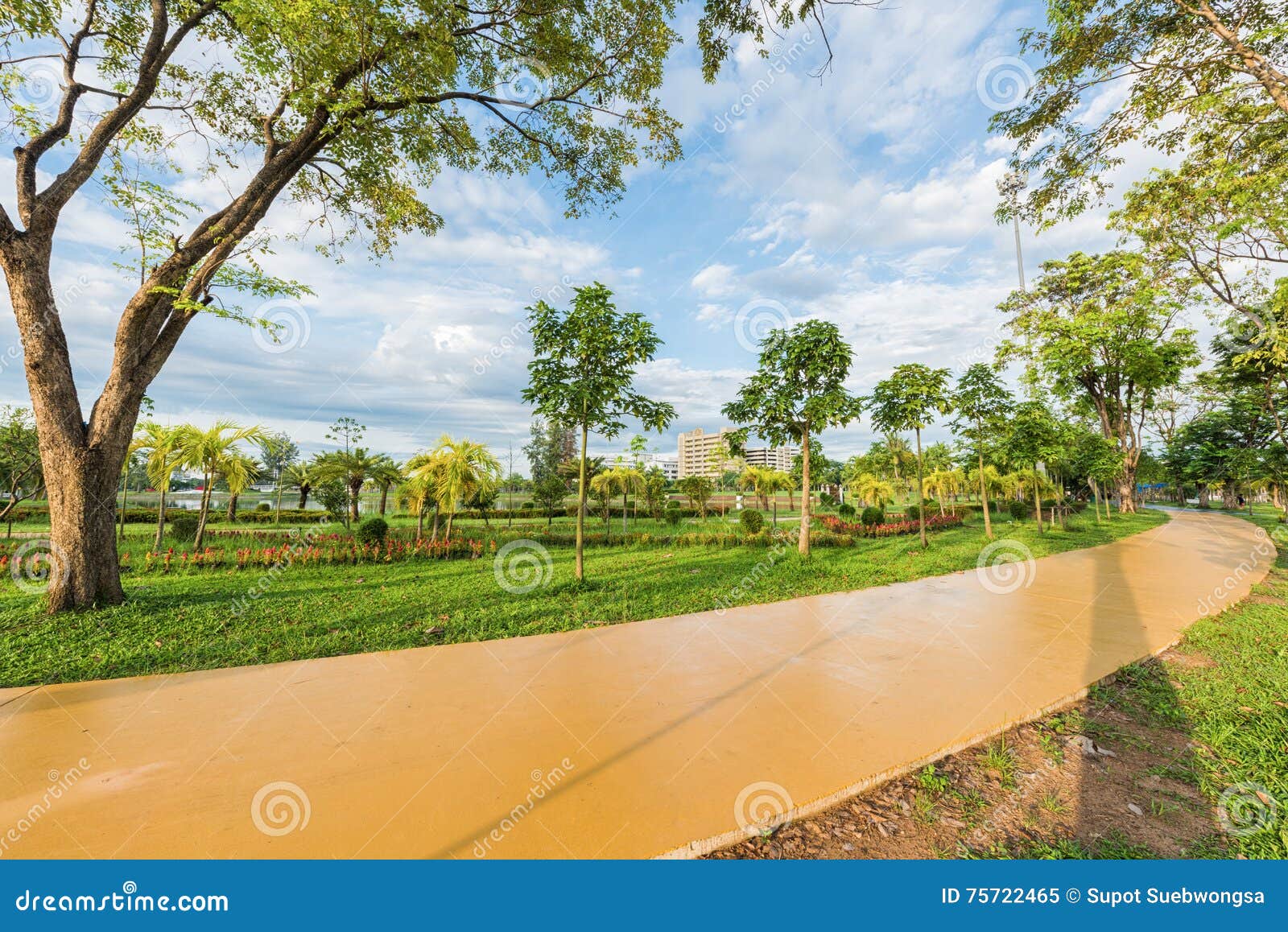 Jogging Track at the Garden Park and No People Stock Image - Image of ...