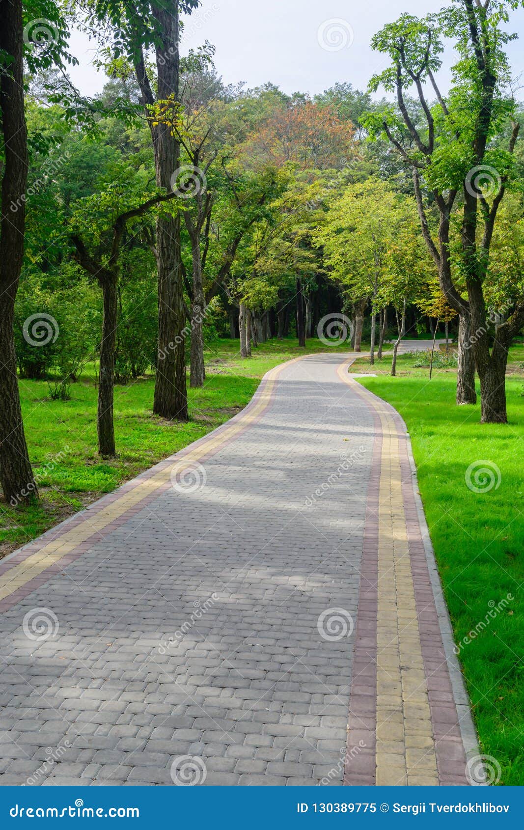 Jogging Track at Green Garden. Summer Time. Stock Image - Image of leaf ...