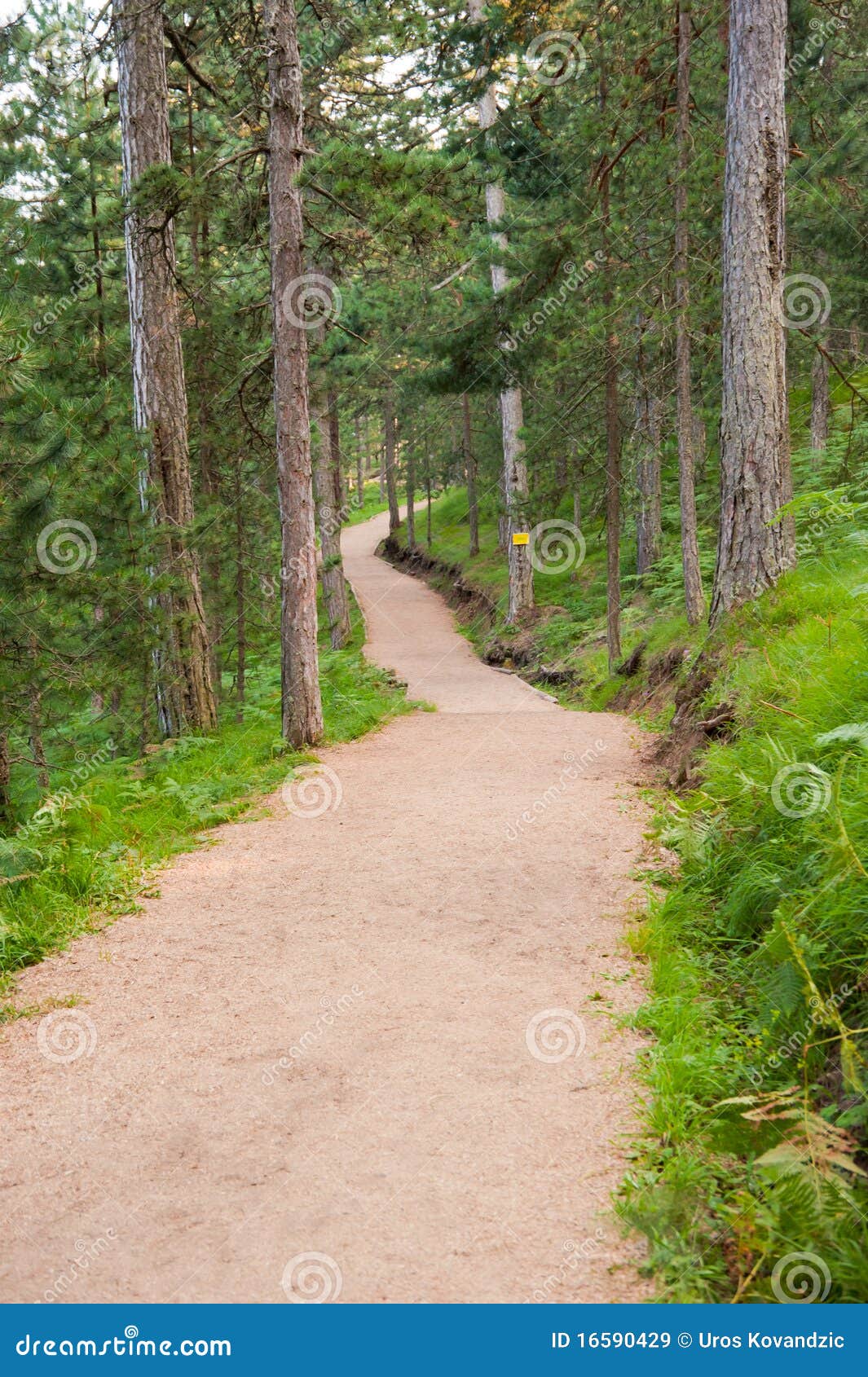 Jogging Track Mountain Landscape Stock Image - Image of holiday, park ...