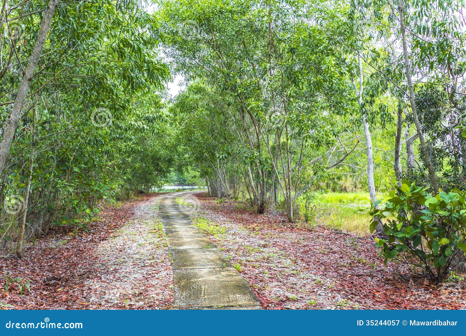 Jogging track stock image. Image of outdoors, sporty - 35244057