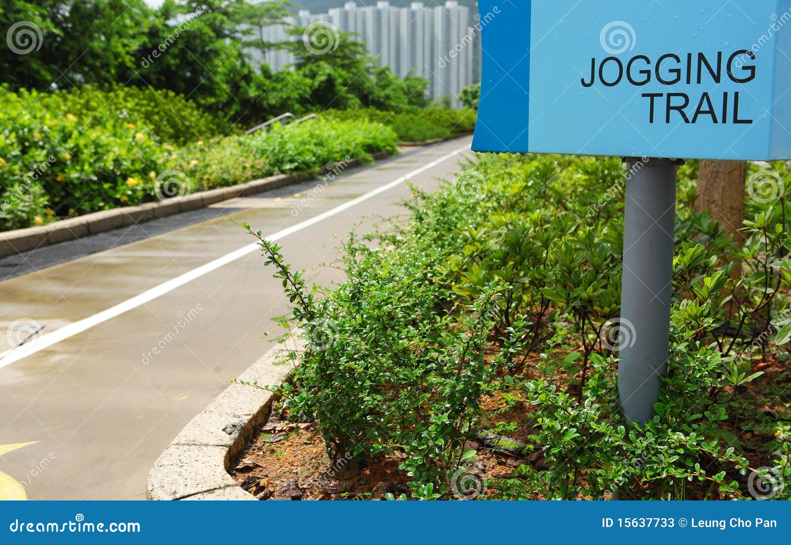 Jogging trail stock image. Image of long, foliage, isolated - 15637733