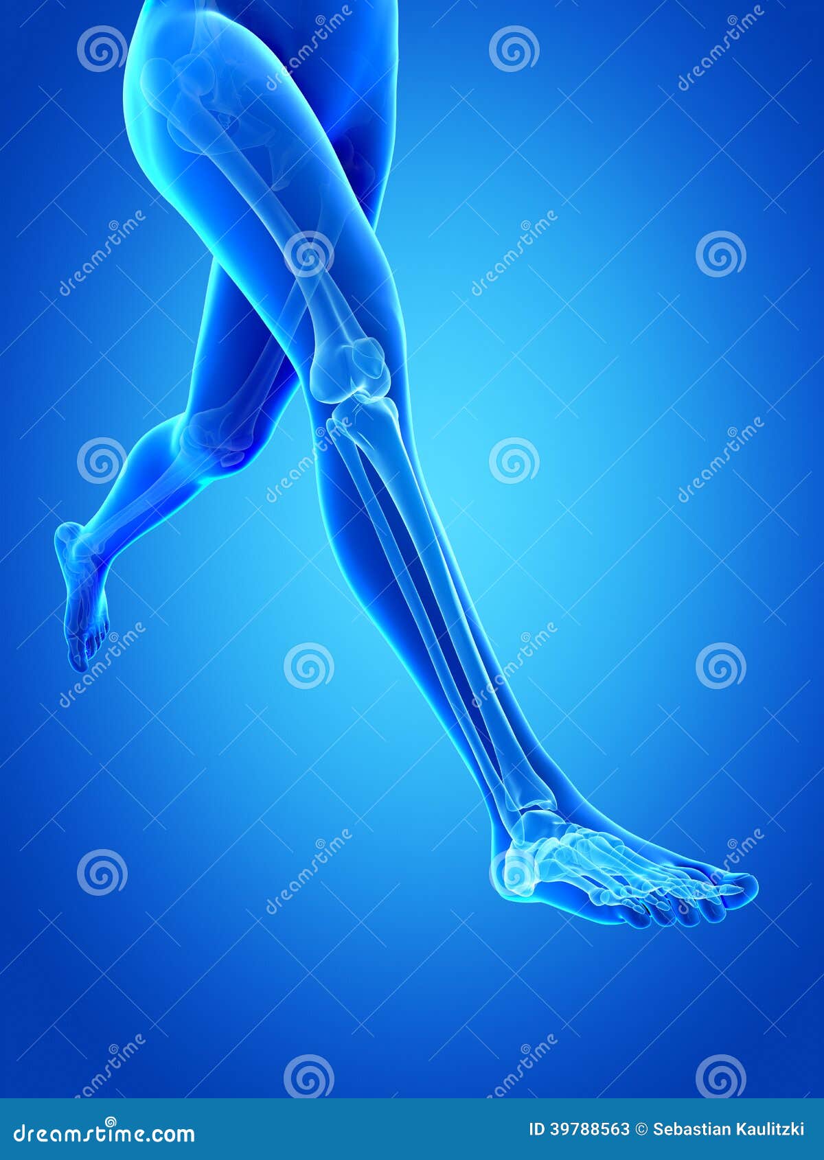 Jogging woman stock illustration. Illustration of rendering - 39788563