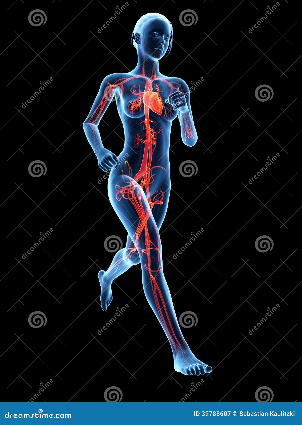 Jogging woman stock illustration. Illustration of rendering - 39788607