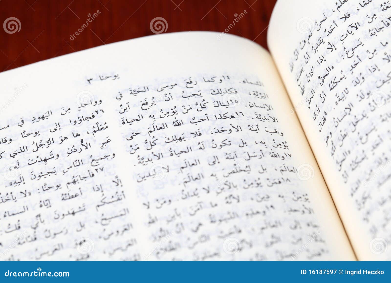 John 3:16 in Arabic Bible stock image. Image of open - 16187597