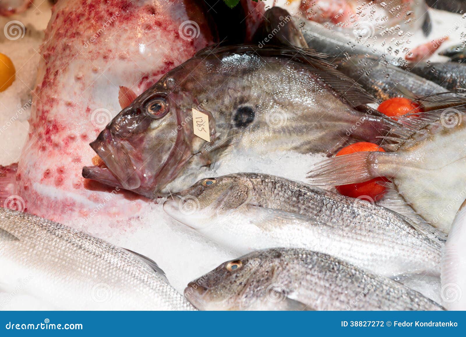 John Dory Fish on Market Stall Stock Photo - Image of display, peter ...