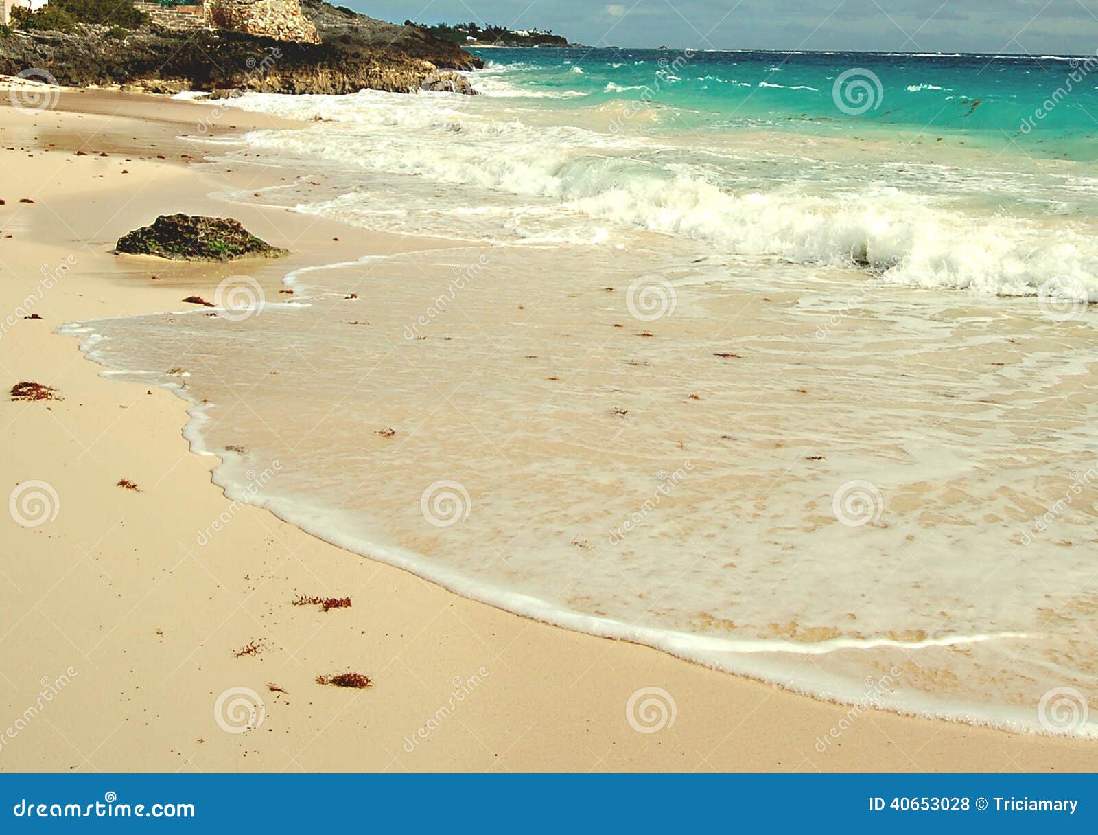 John Smith Beach photo stock. Image du natation, algue - 40653028