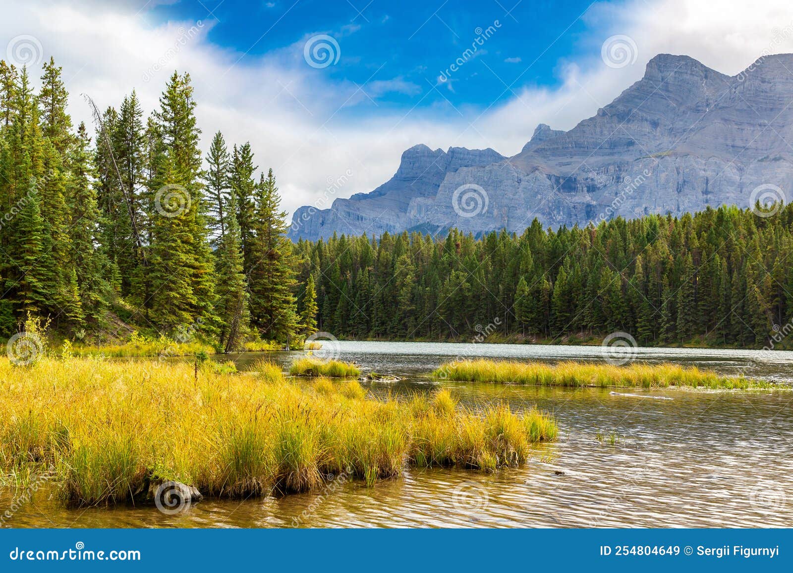 Johnson lake in Banff stock image. Image of canada, idyllic - 254804649
