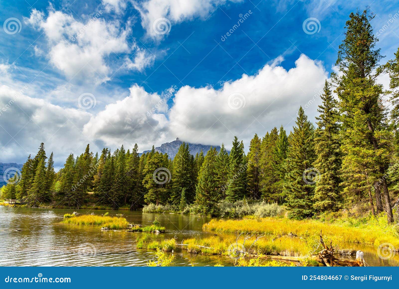 Johnson lake in Banff stock image. Image of alberta - 254804667