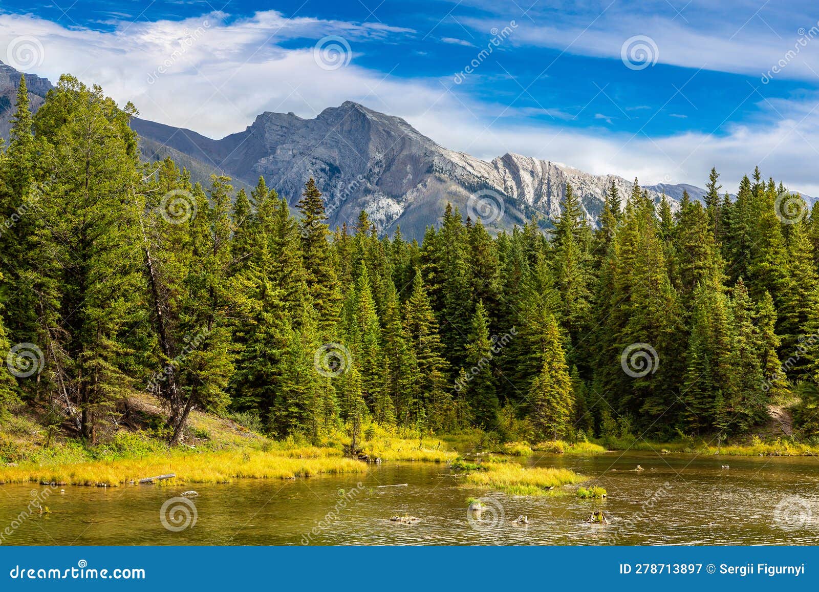 Johnson lake in Banff stock image. Image of tree, alberta - 278713897