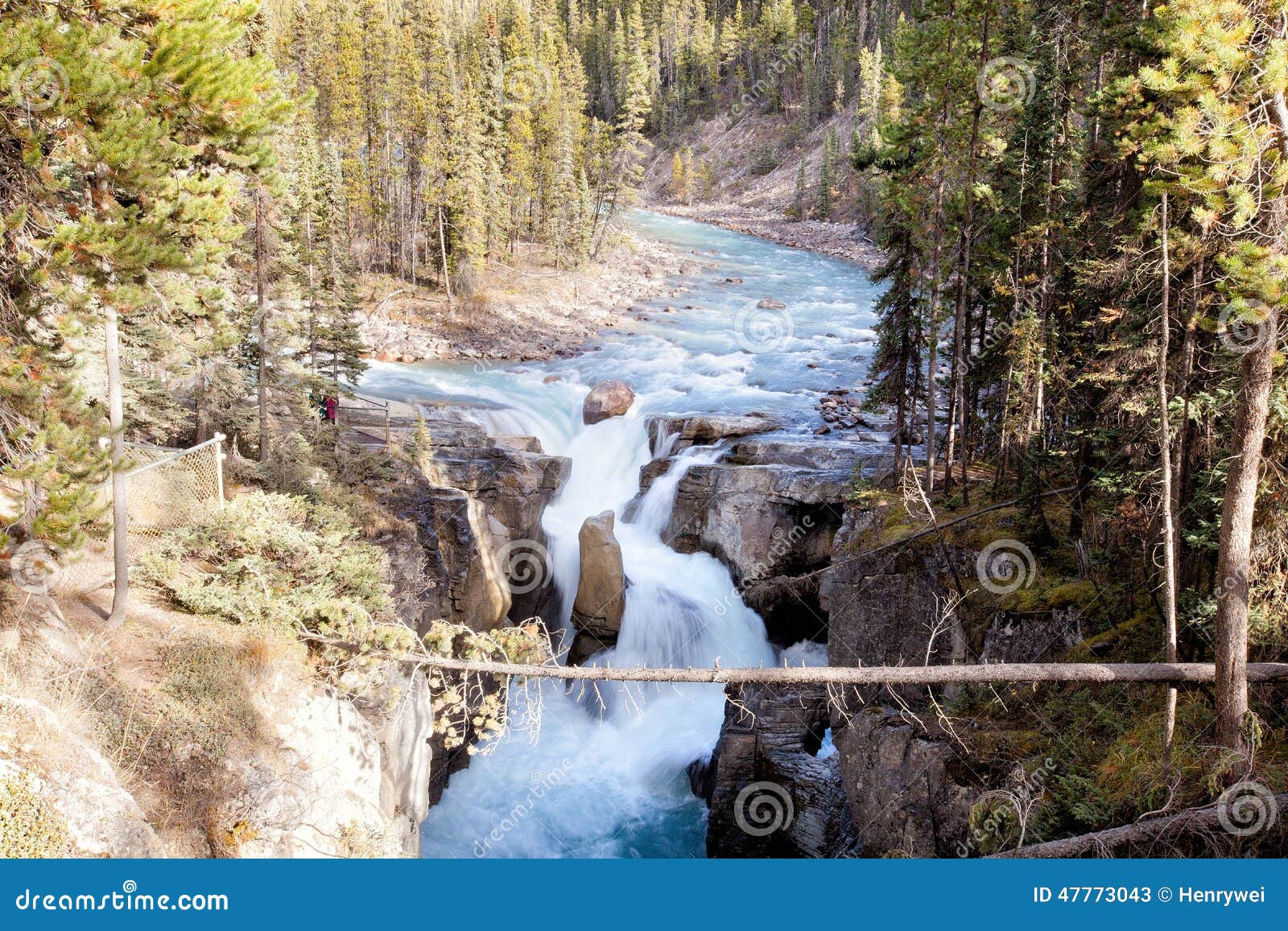 Johnston Canyon Waterfall in Banff National Park Stock Image - Image of ...