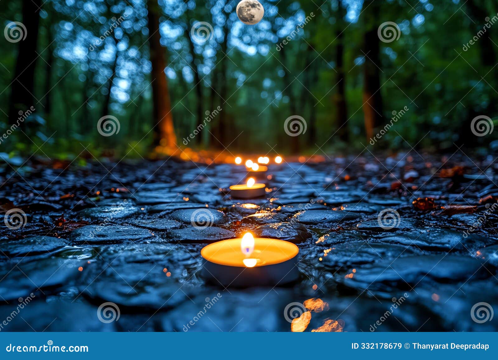 Join a Coven on a Journey through Ancient Forests To Perform Pagan ...