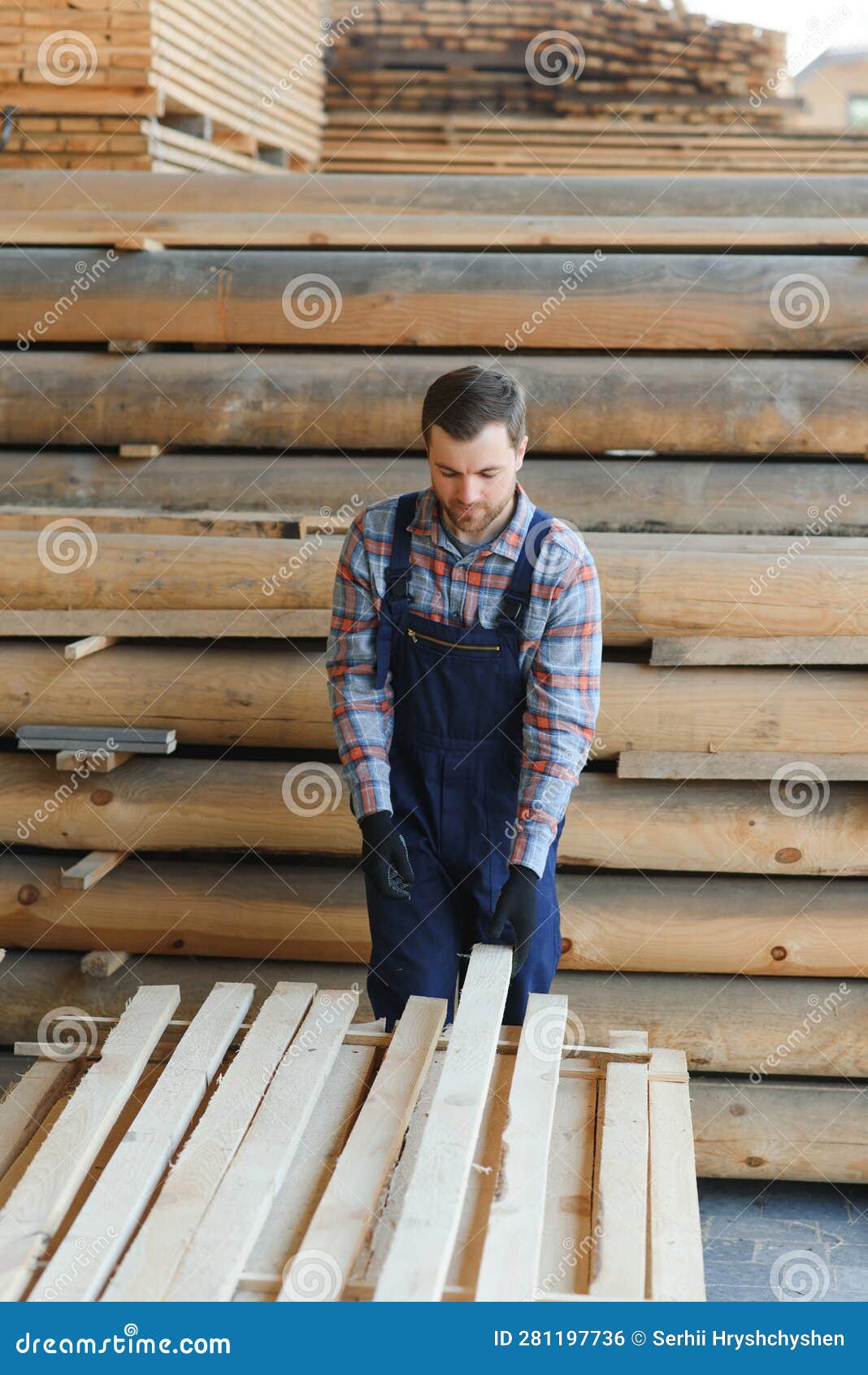 Joiner in Uniform Check Boards on Timber Mill Stock Photo - Image of ...