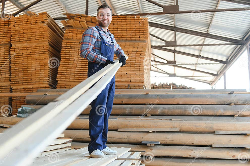Joiner in Uniform Check Boards on Timber Mill Stock Photo - Image of ...