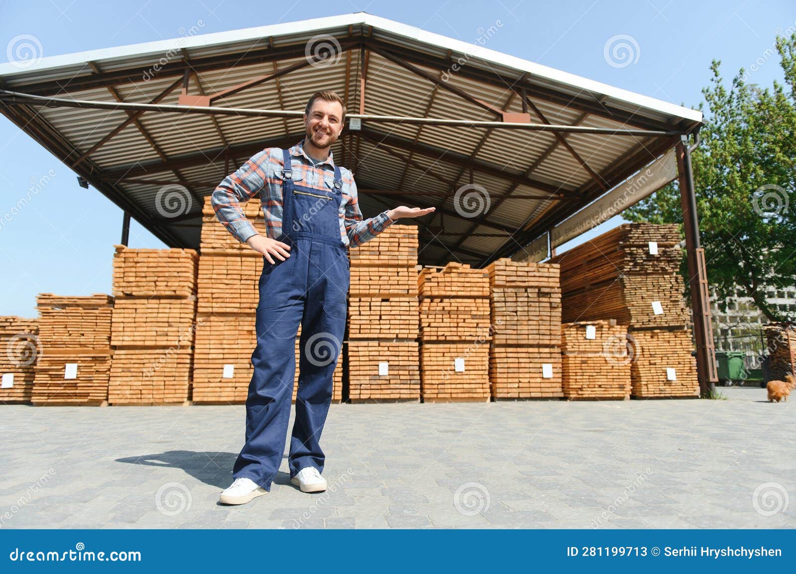 Joiner in Uniform Check Boards on Timber Mill Stock Image - Image of ...