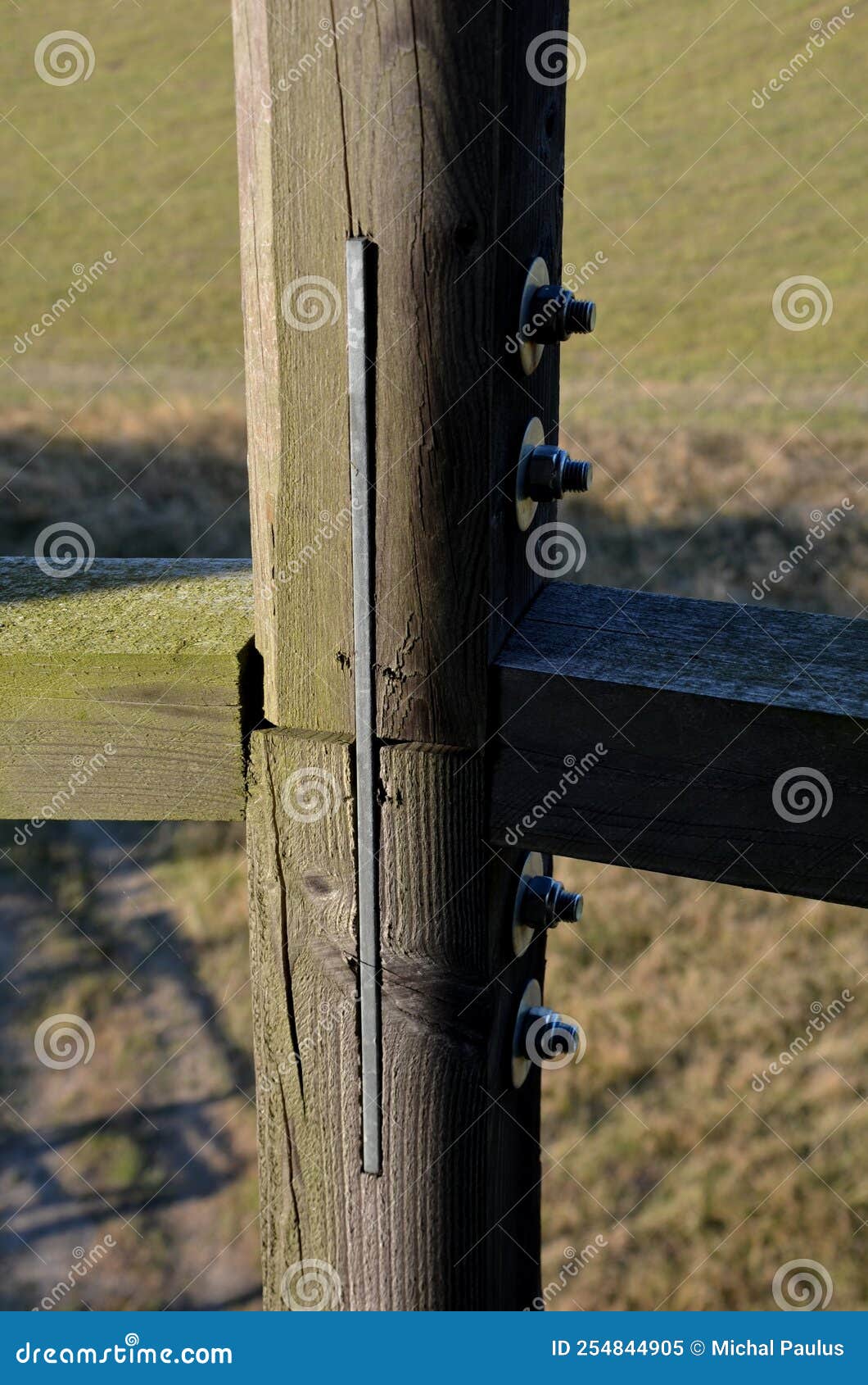 Joining the Beams Using a Steel Plate Inserted into the Notch Stock ...