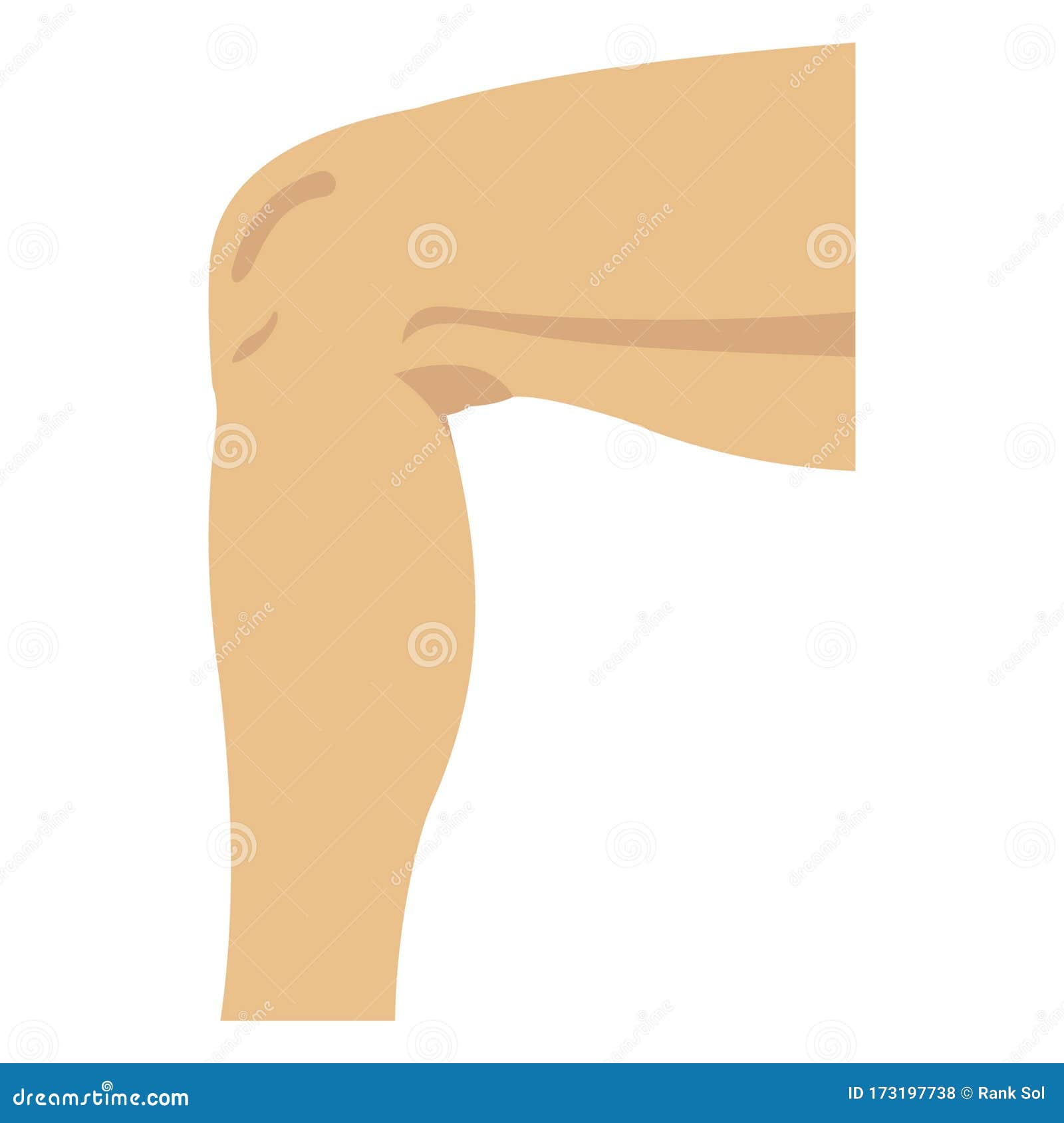 Basic RGB Joint, Knee, Vector Illustration Icon Which Can Easily Modify ...