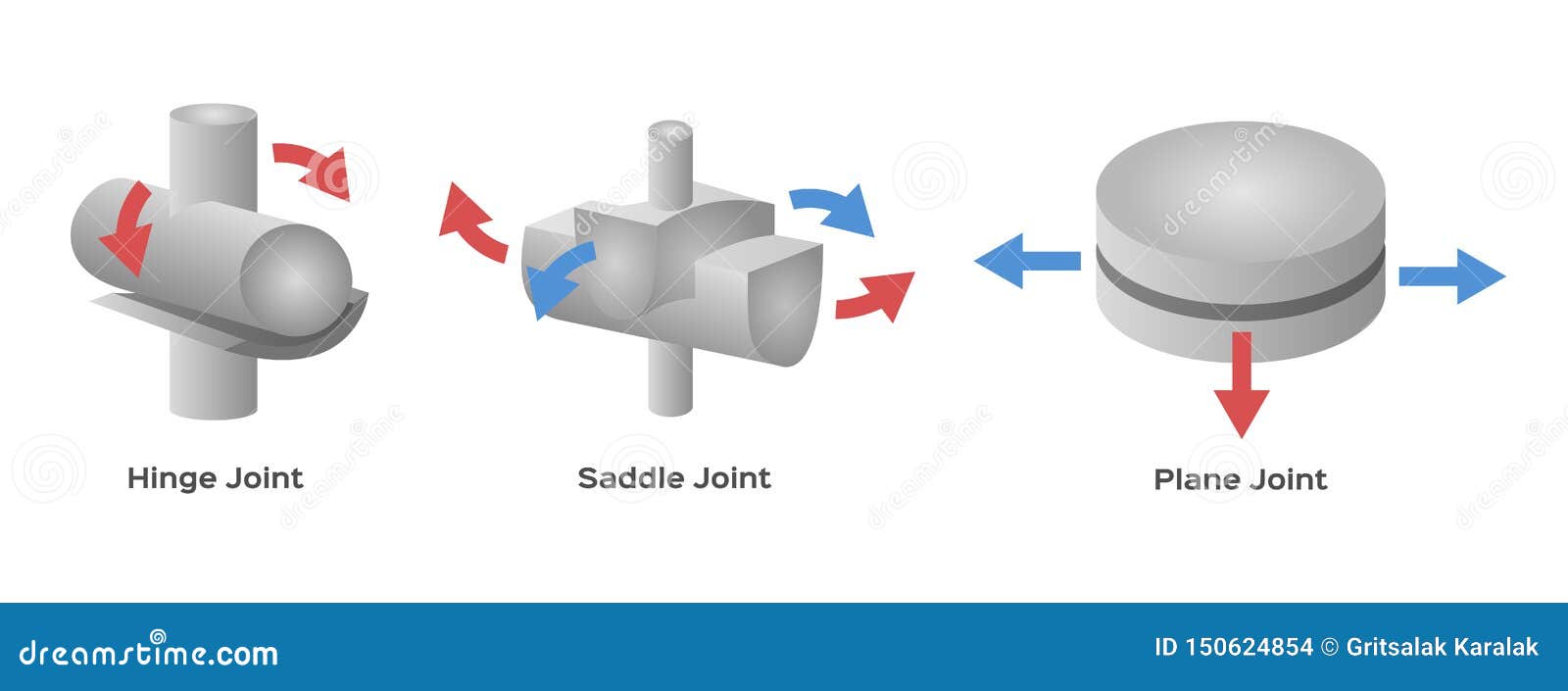 Joint type vector stock vector. Illustration of move - 150624854